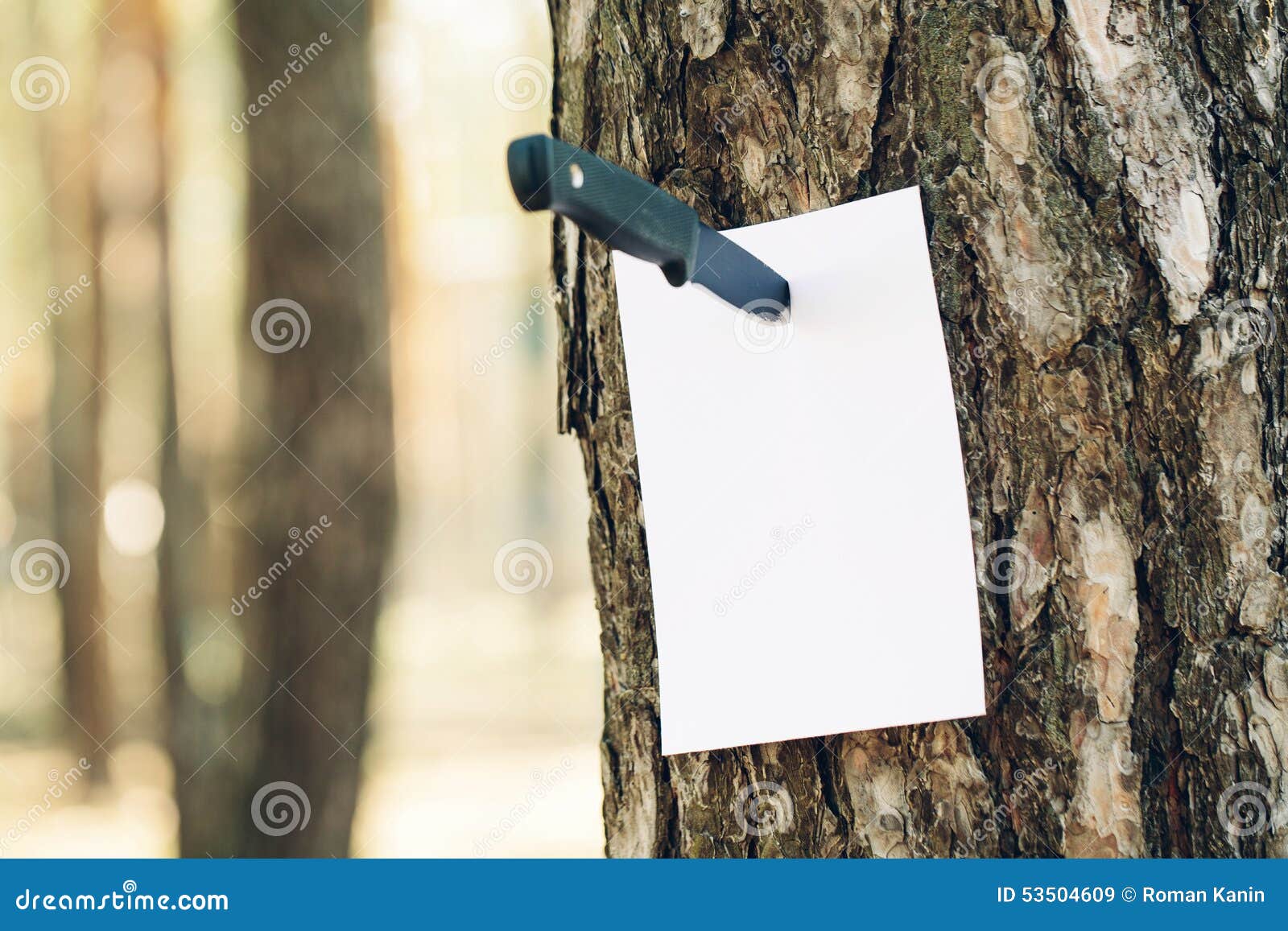 Empty Paper Stuck into a Tree with a Knife Stock Image - Image of tree ...