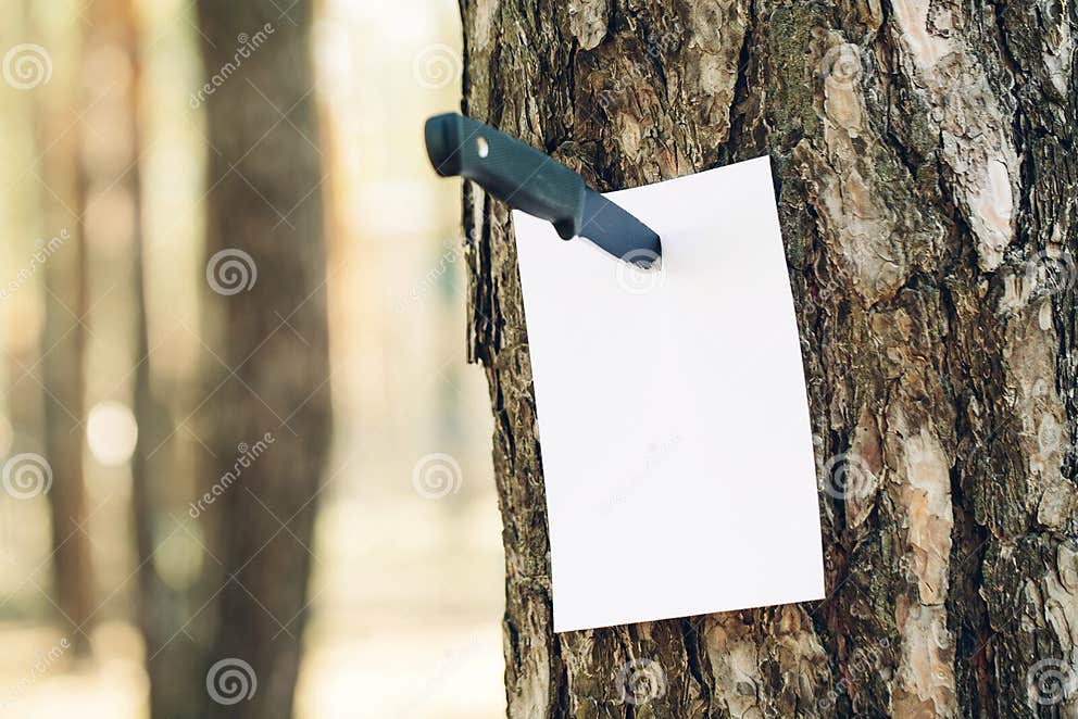 Empty Paper Stuck into a Tree with a Knife Stock Image - Image of tree ...