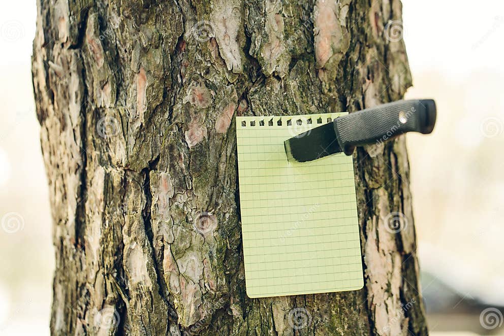 Empty Paper Stuck into a Tree with a Knife Stock Photo - Image of ...
