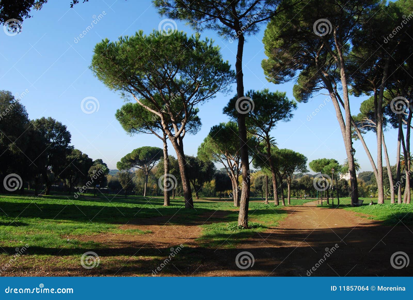 Empty park stock photo. Image of field, green, plants - 11857064