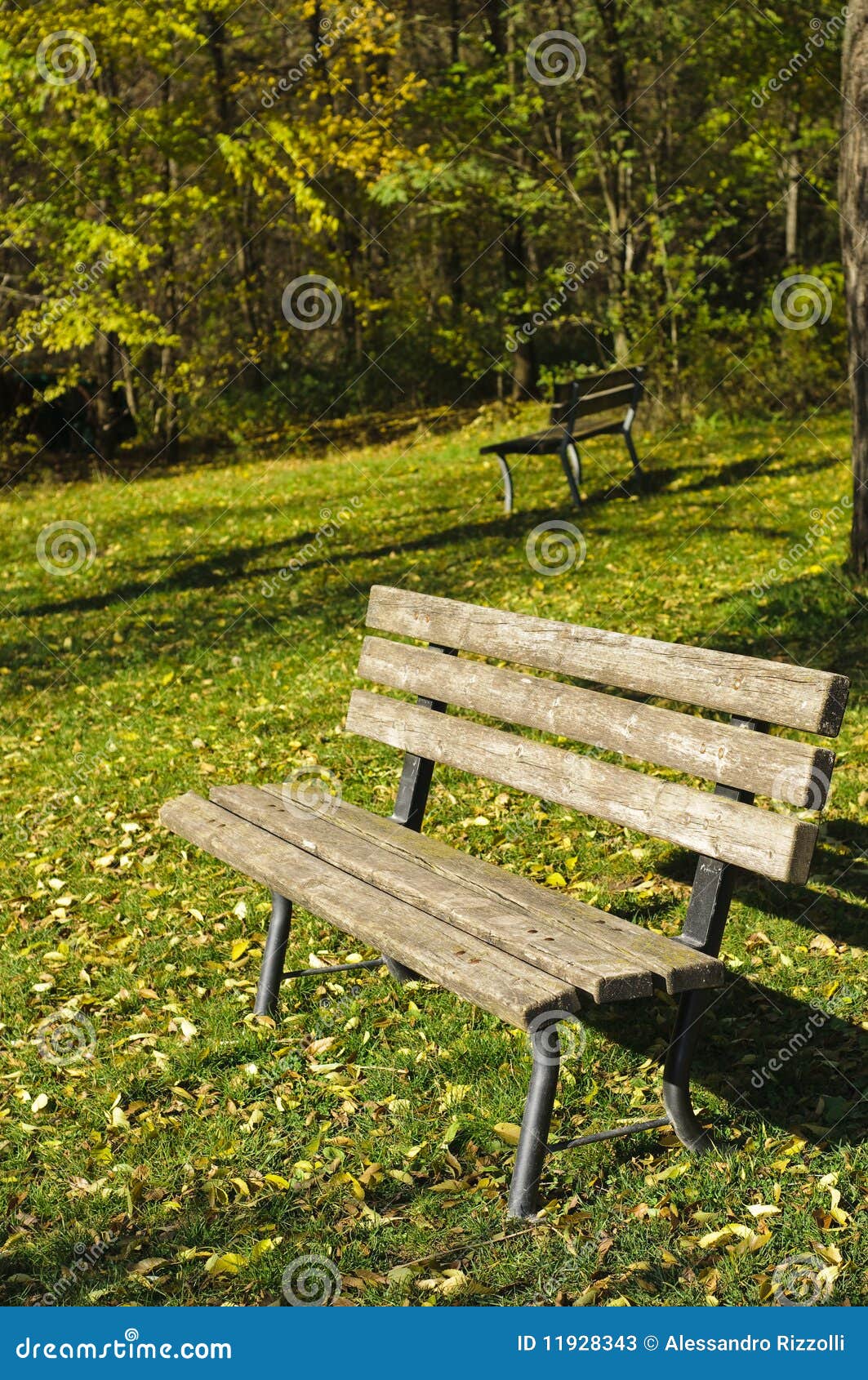 Empty park bench stock image. Image of autumn, bench - 11928343