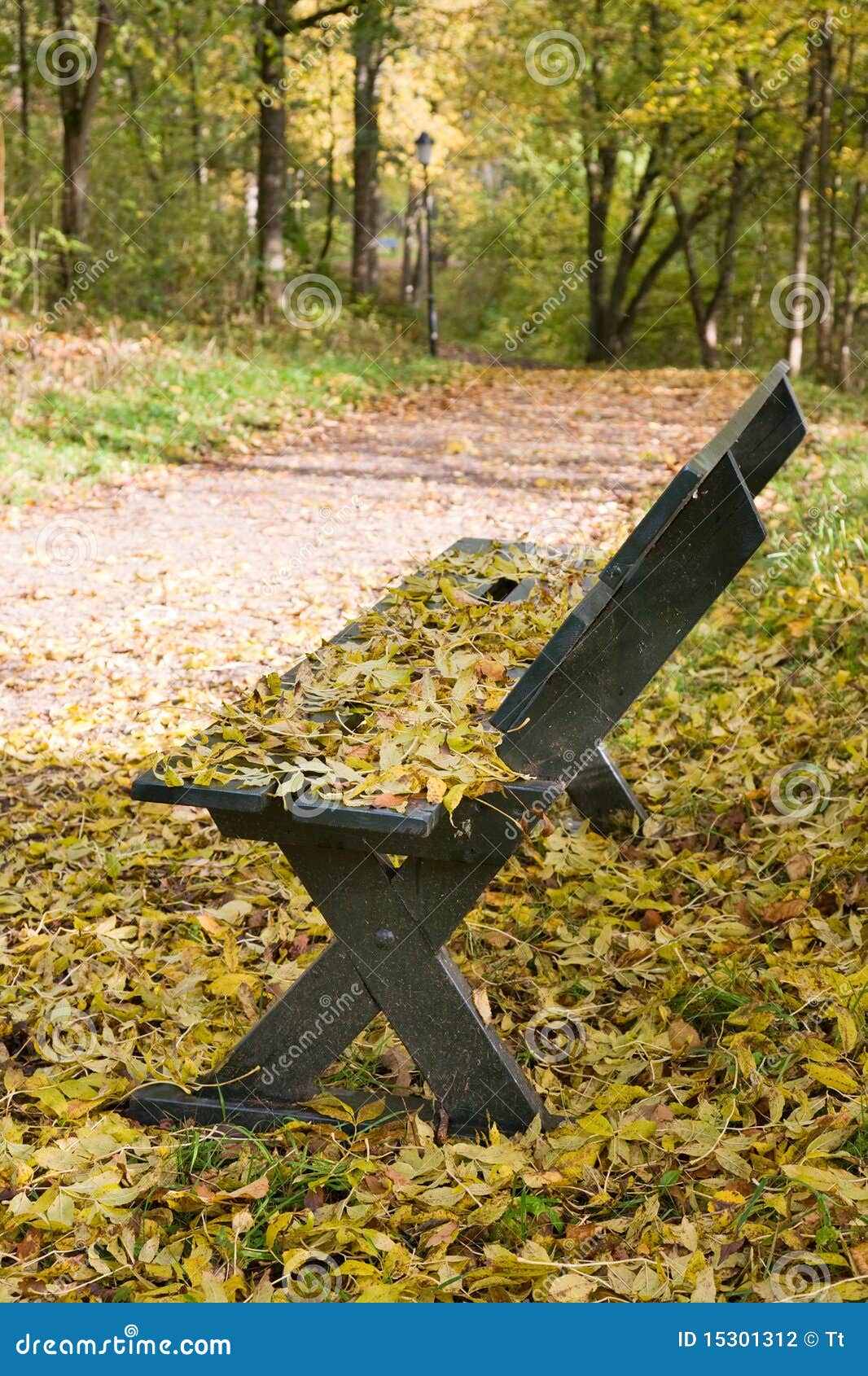 Empty park bench stock photo. Image of scene, emptiness - 15301312