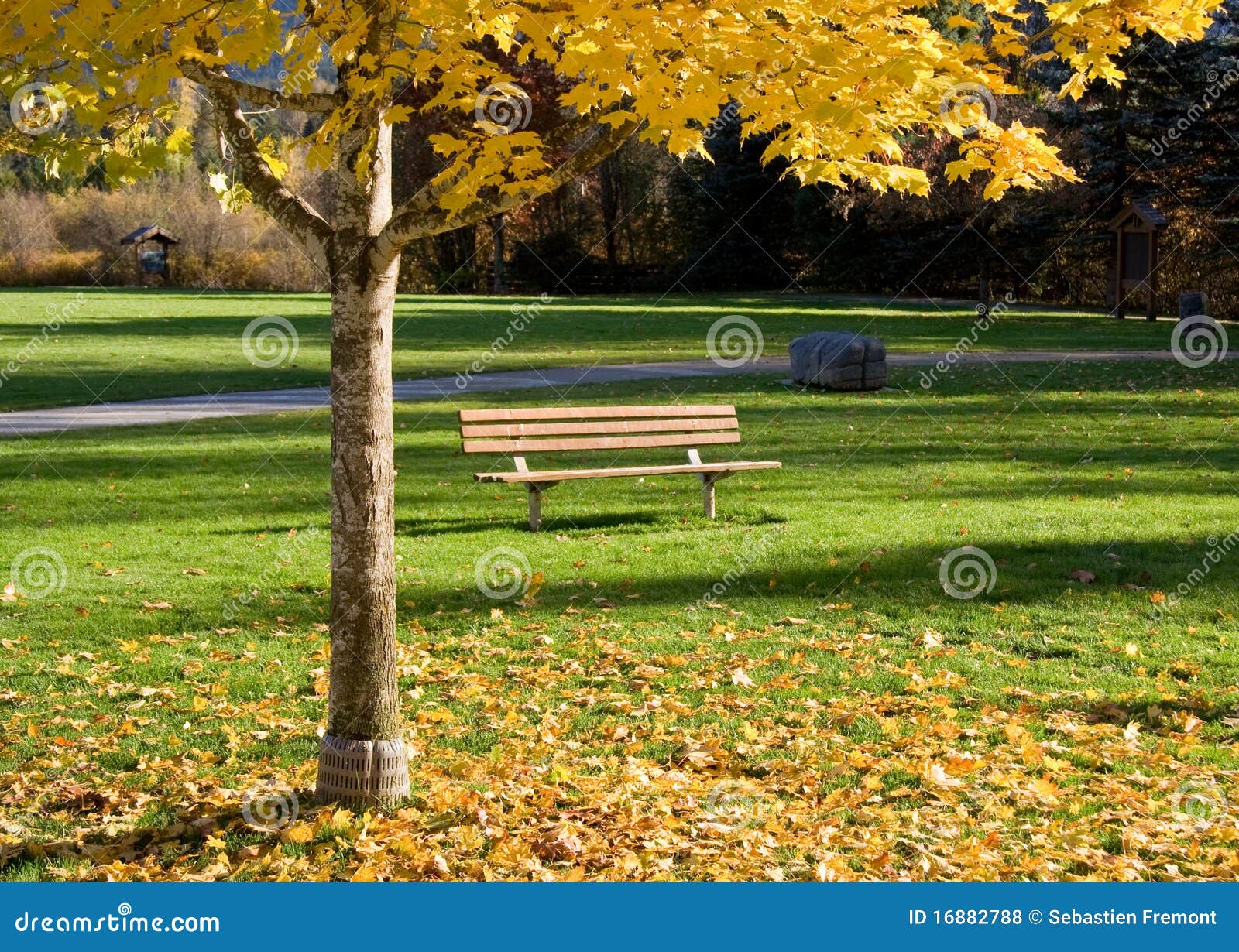 Empty park bench stock photo. Image of yellow, fall, concept - 16882788