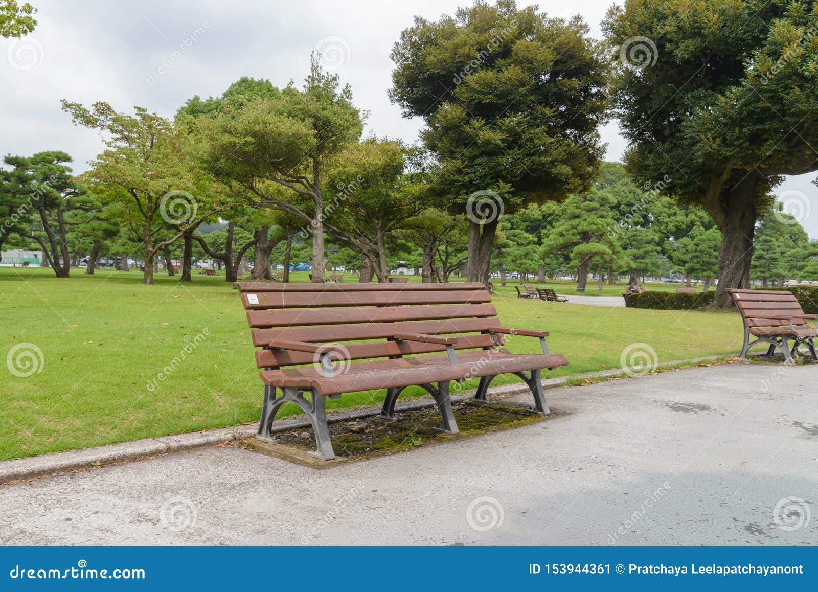 Empty Park Bench on Lawn in Lush Green Parkland in Summer Stock Image ...