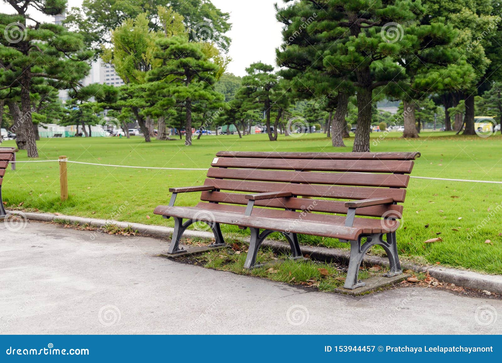 Empty Park Bench in the Garden Stock Image - Image of garden, fresh ...