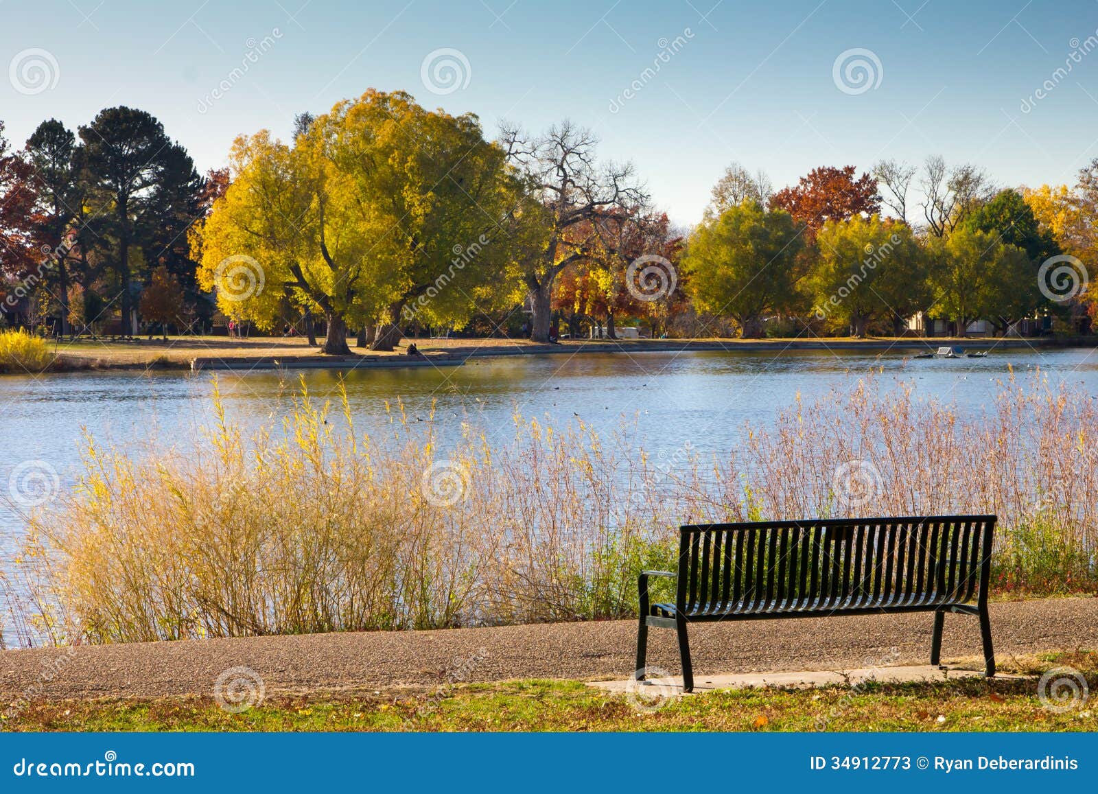 Empty Park Bench by a Lake in Fall - Denver Stock Image - Image of lake ...