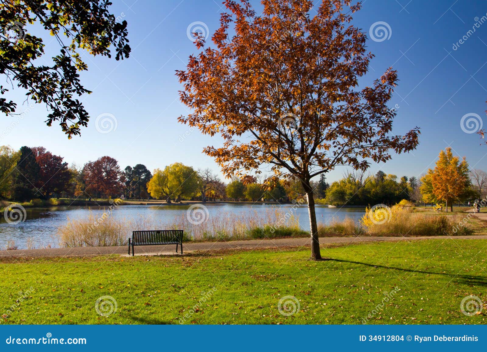 Empty Park Bench by Lake in Fall Stock Photo - Image of colorful ...