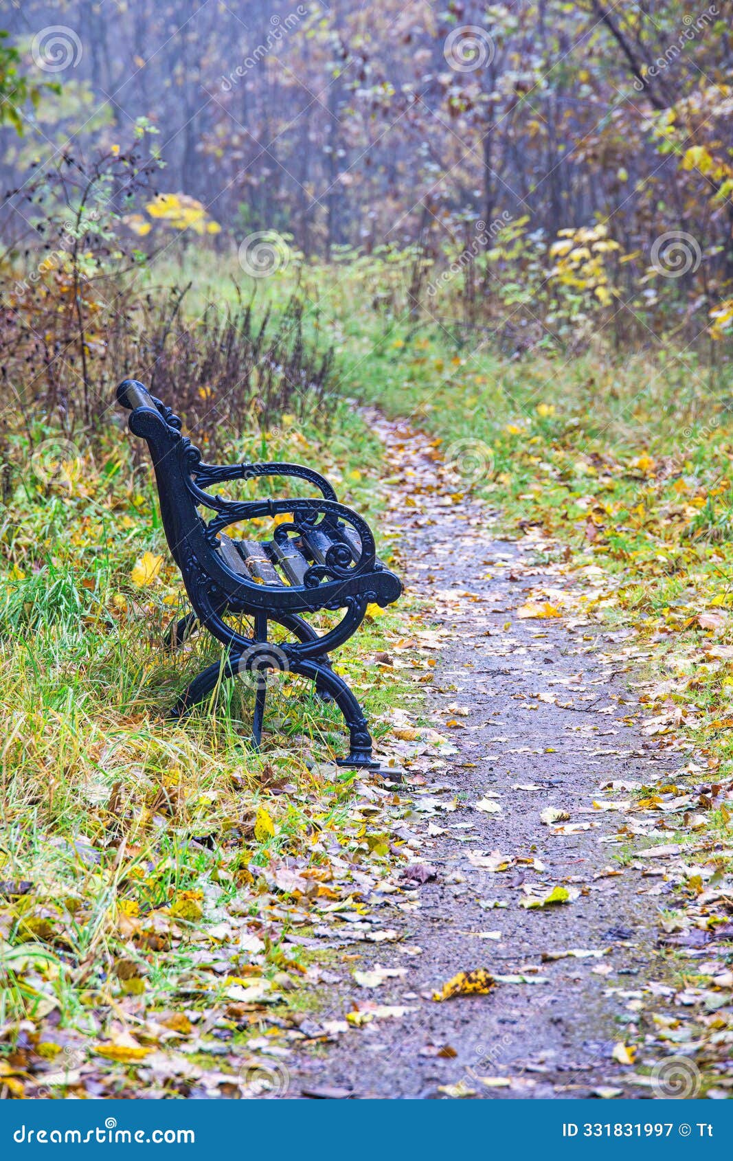 Empty Park Bench by a Path on a Gloomy Autumn Day Stock Image - Image ...