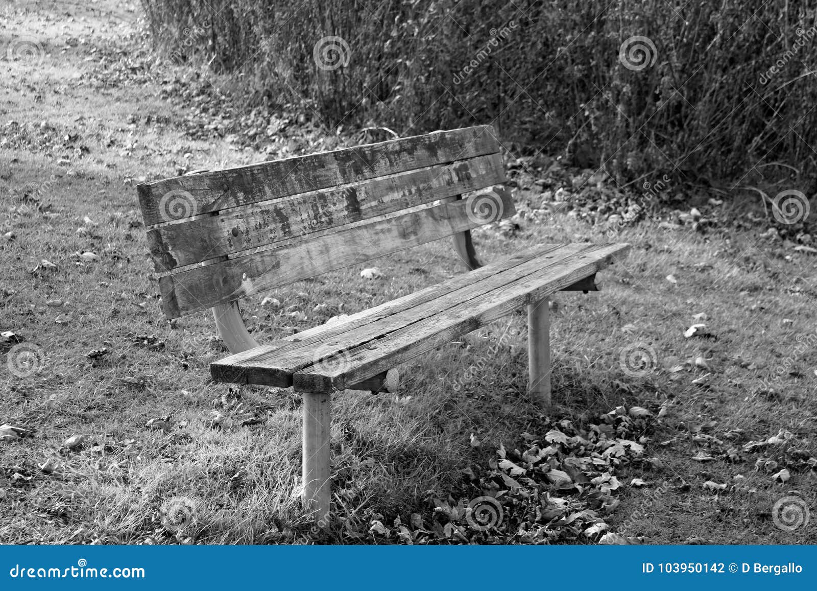 Empty Park Bench Sadness and Depression Stock Photo - Image of ...