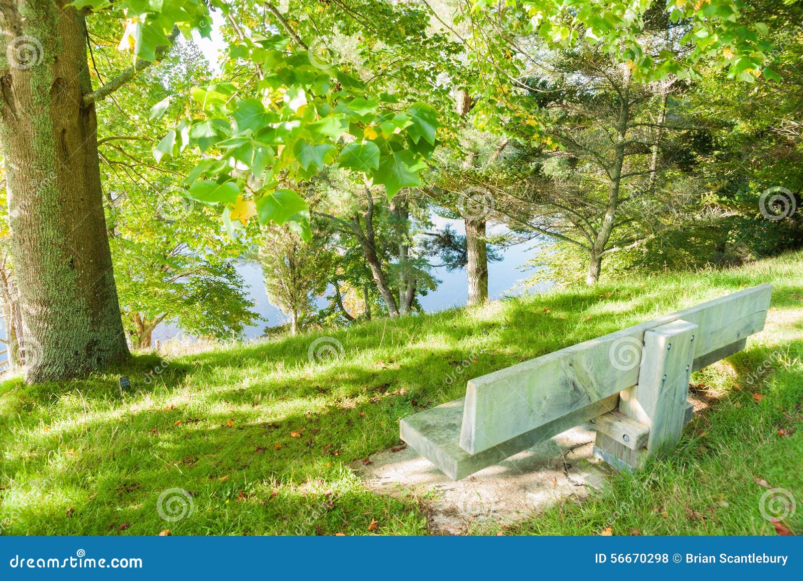 Empty Park Bench Seat Overlooking Lake Stock Photo - Image of trees ...