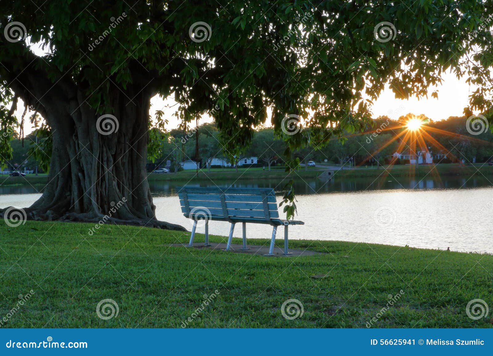 Empty park bench at sunset stock image. Image of sunrise - 56625941