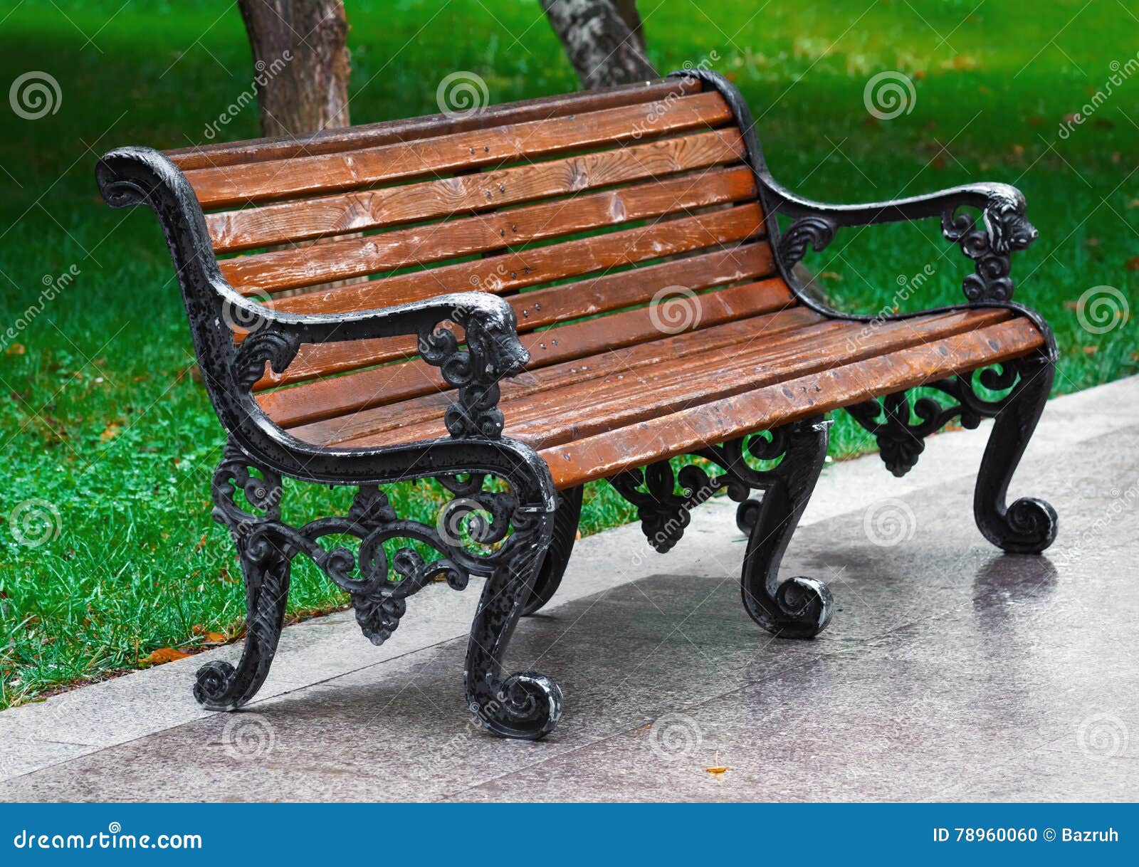 Empty Park Bench stock photo. Image of lane, campus, bench - 78960060