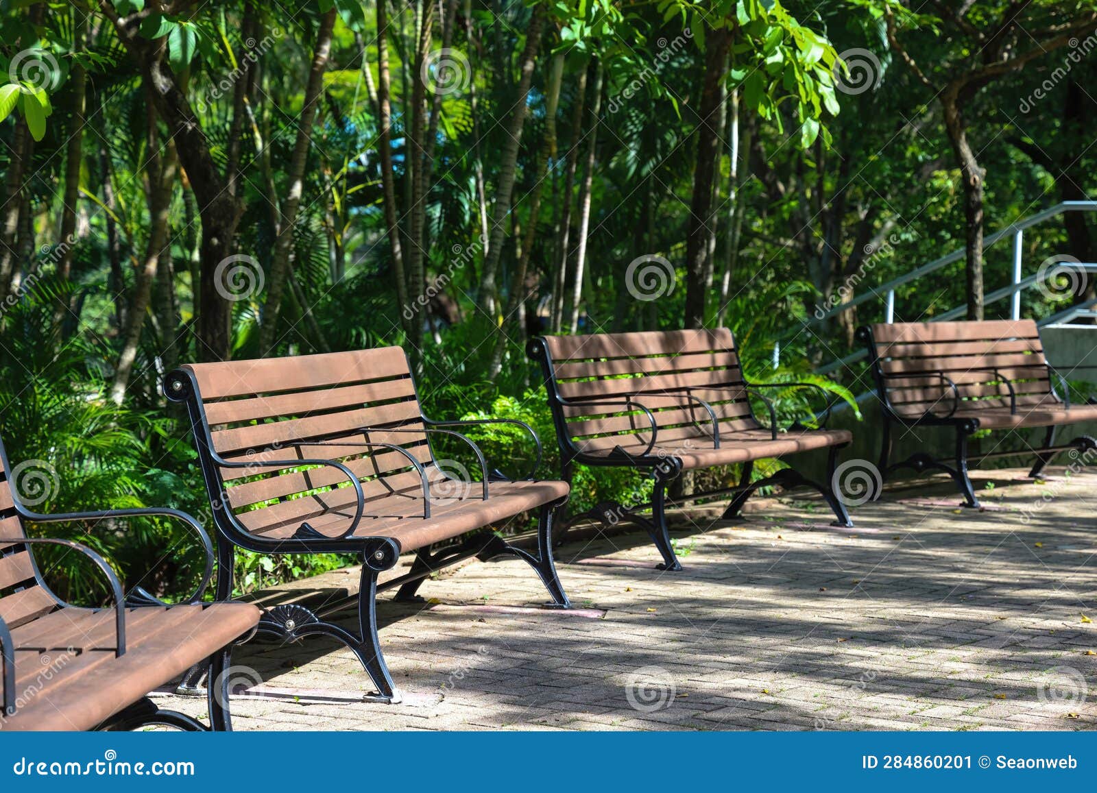 An Empty Park Branch at the Park Stock Image - Image of serene, outdoor ...