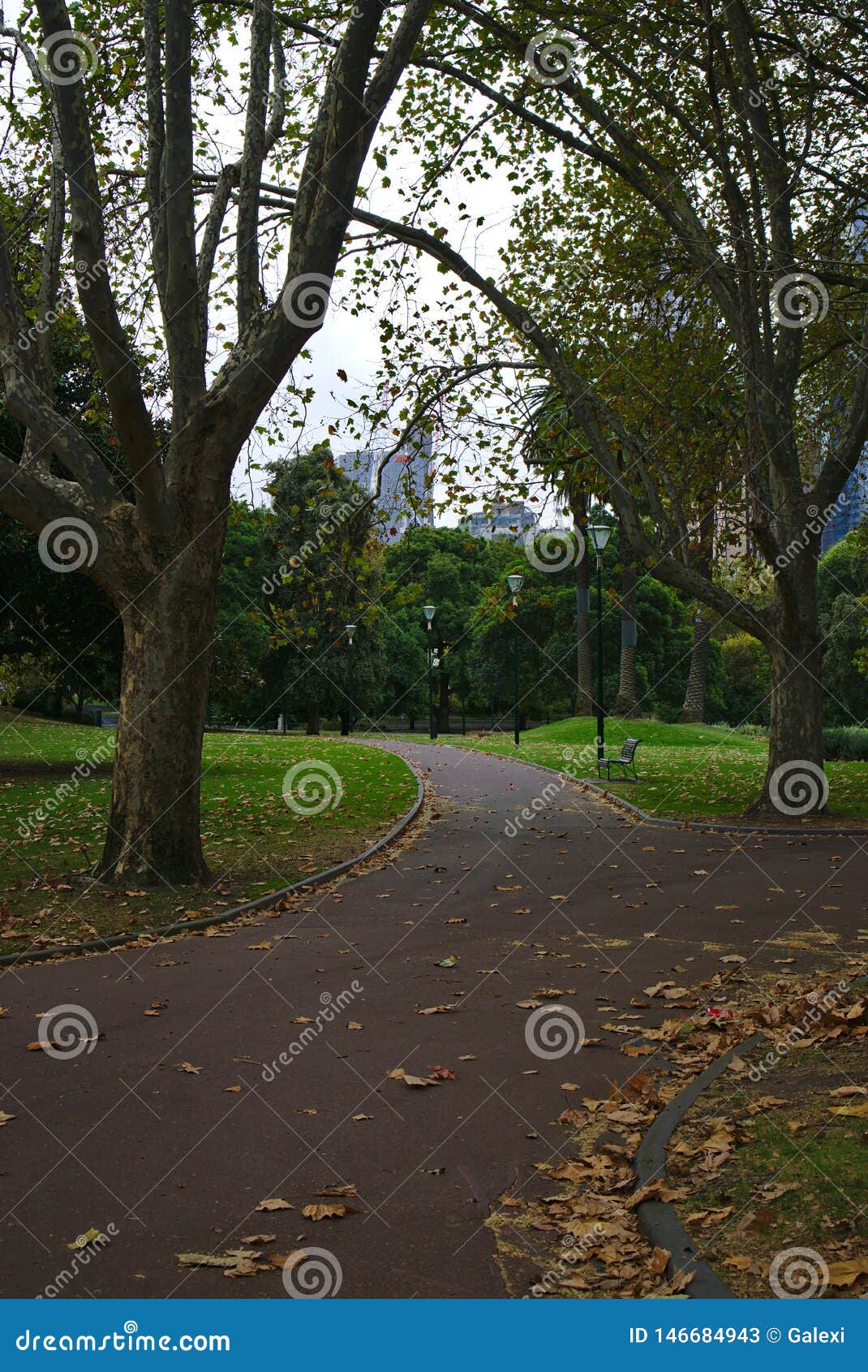 Empty Park with Dried Fall Leaves on Ground Editorial Stock Photo ...