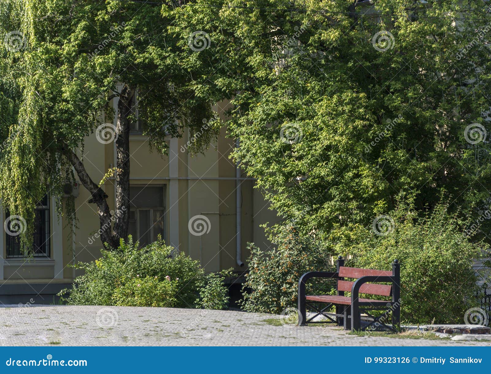 Empty Park stock photo. Image of chair, alley, colors - 99323126