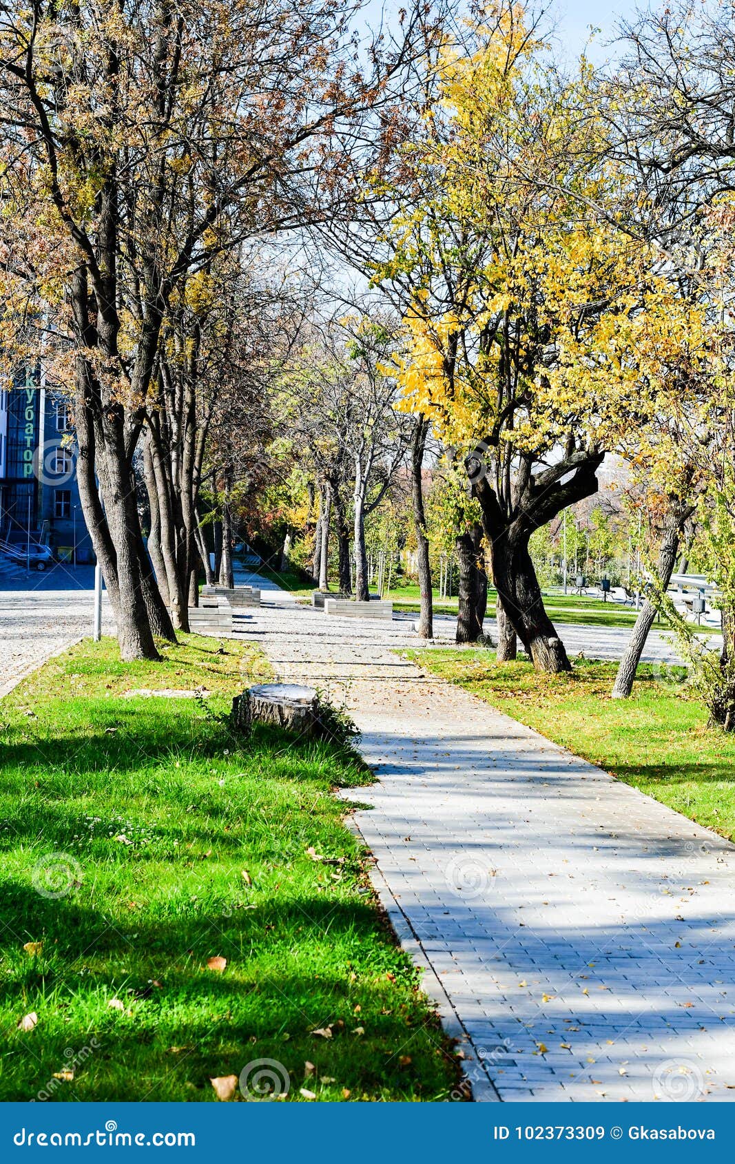 Empty park stock image. Image of construction, exterior - 102373309