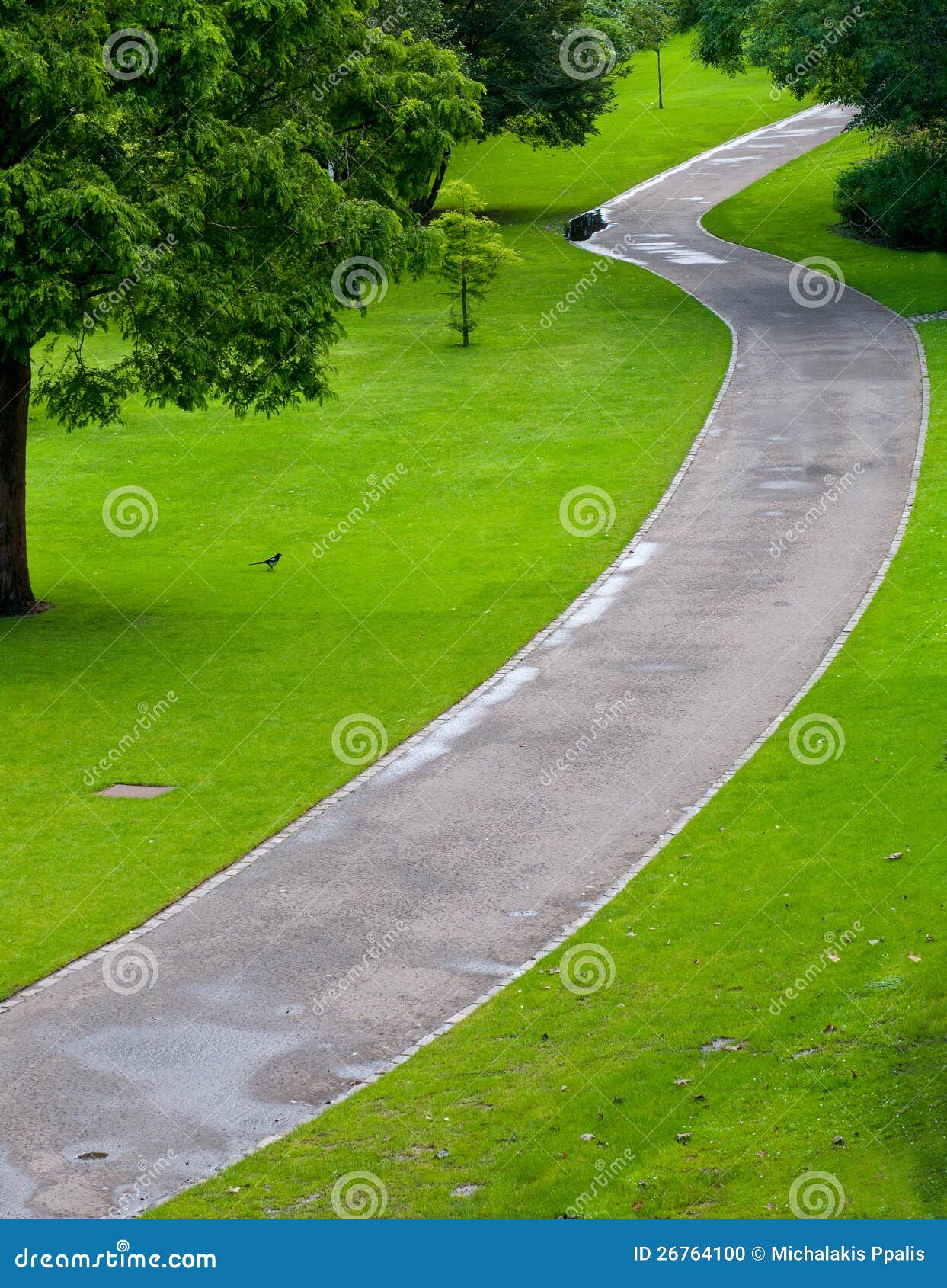 Empty Park Pedestrian Walkway Road Stock Photo - Image of idyllic ...
