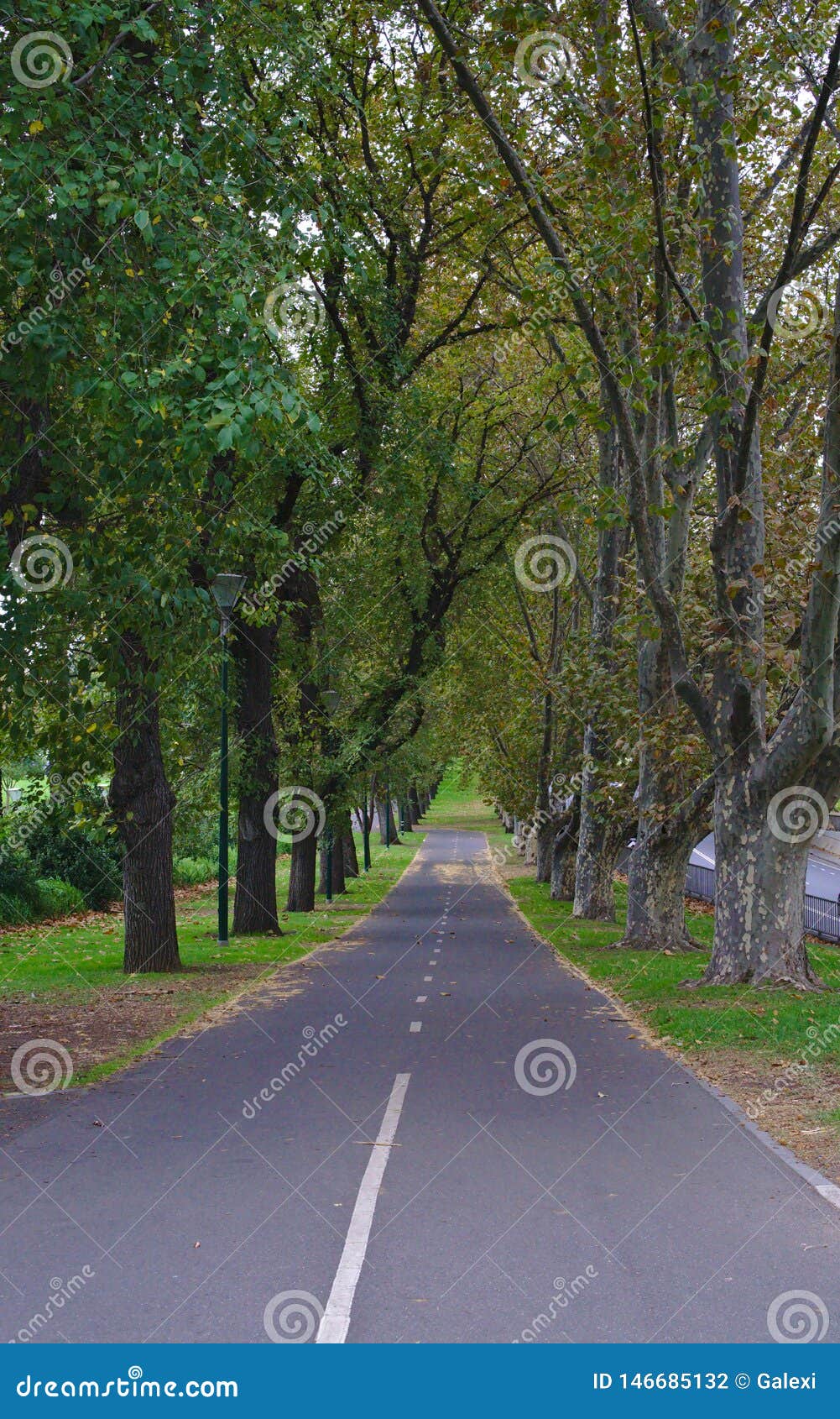 Empty Park with Walking Path in the Middle Stock Photo - Image of copy ...