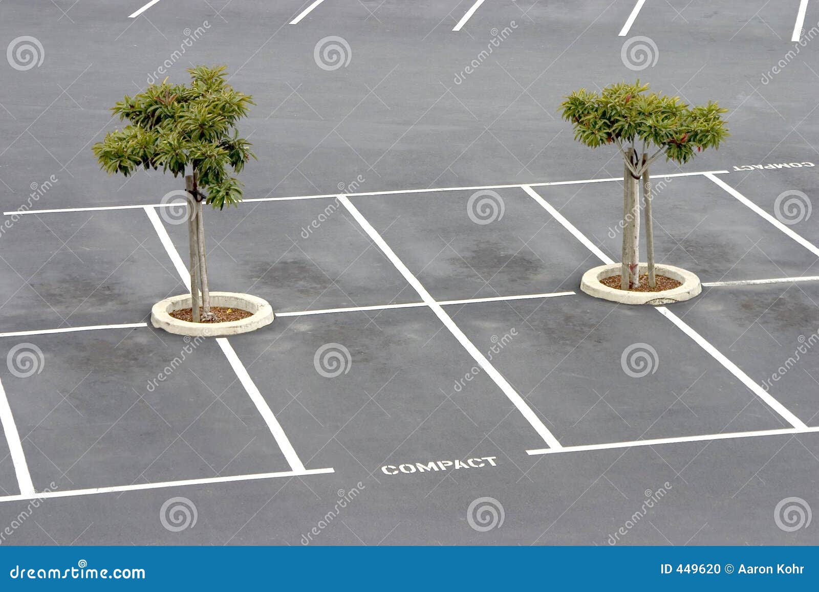 Empty Parking Bays Stock Photography | CartoonDealer.com #175561070