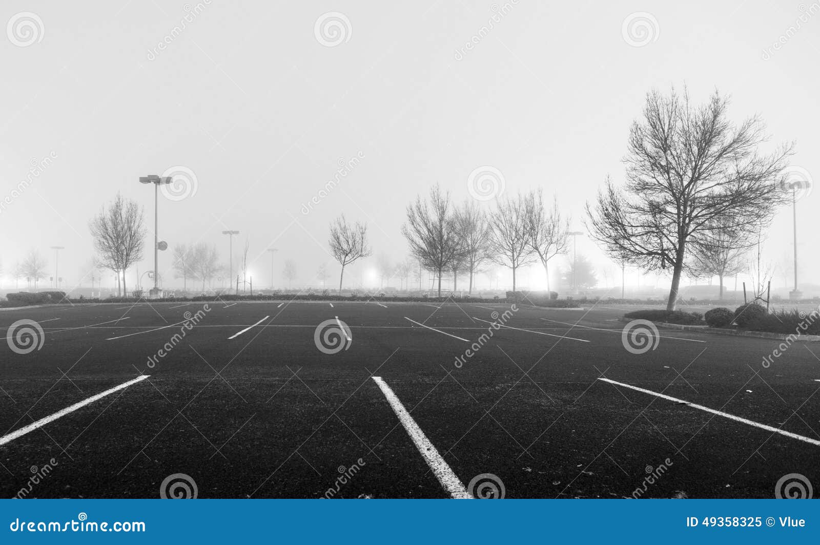 Empty Parking Lot With Parking Stalls With White Lines Marked. Vacant ...