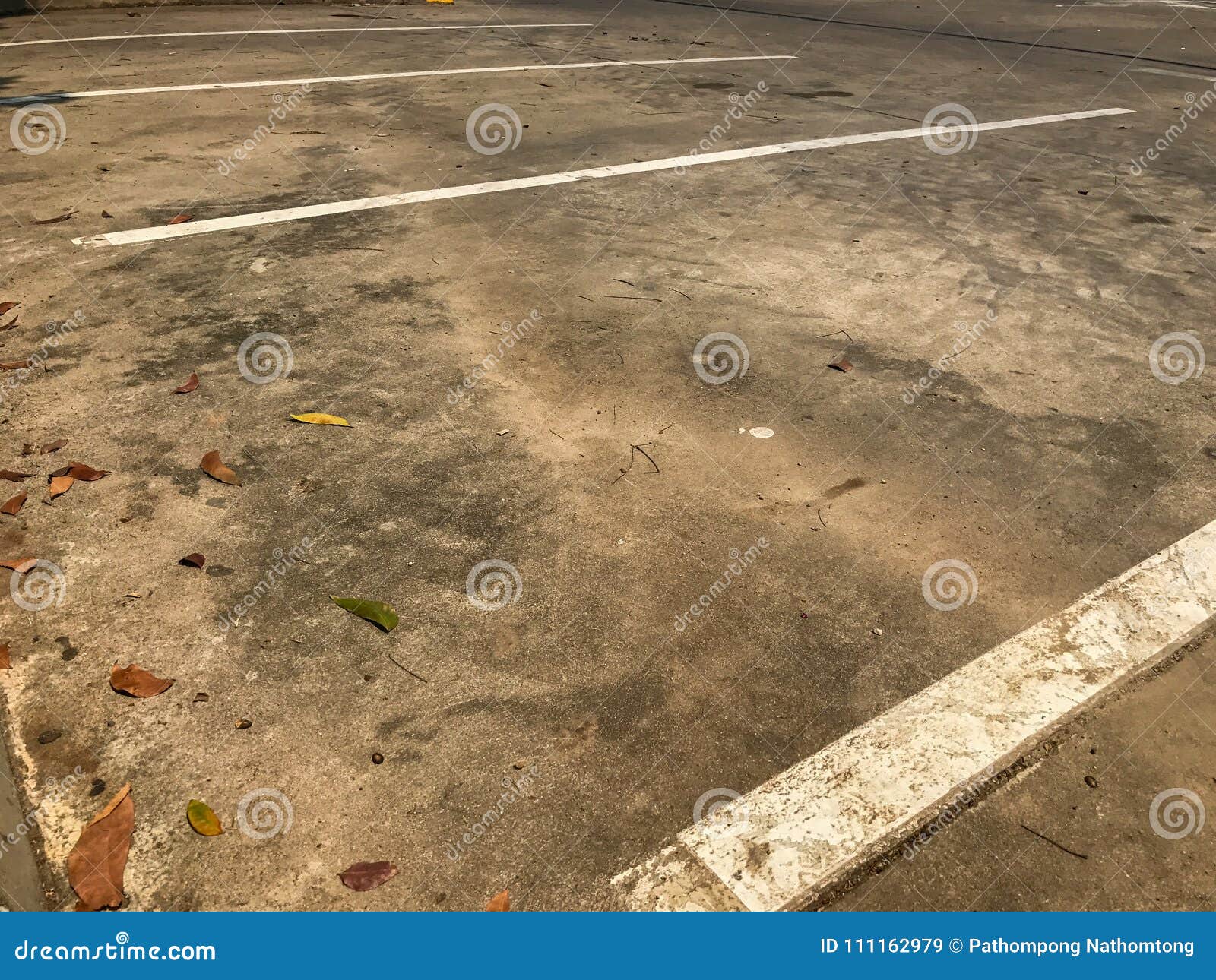 Empty Parking Spot with White Line Stock Image - Image of automobile ...