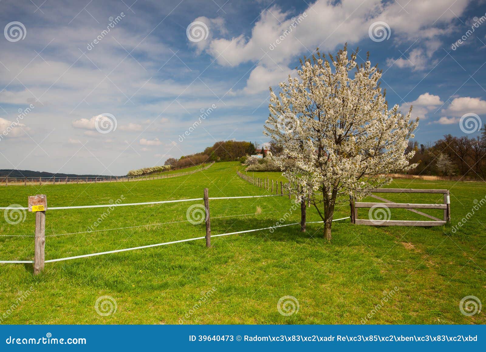 Empty Pasture for Cattle in Spring Stock Image - Image of farm ...