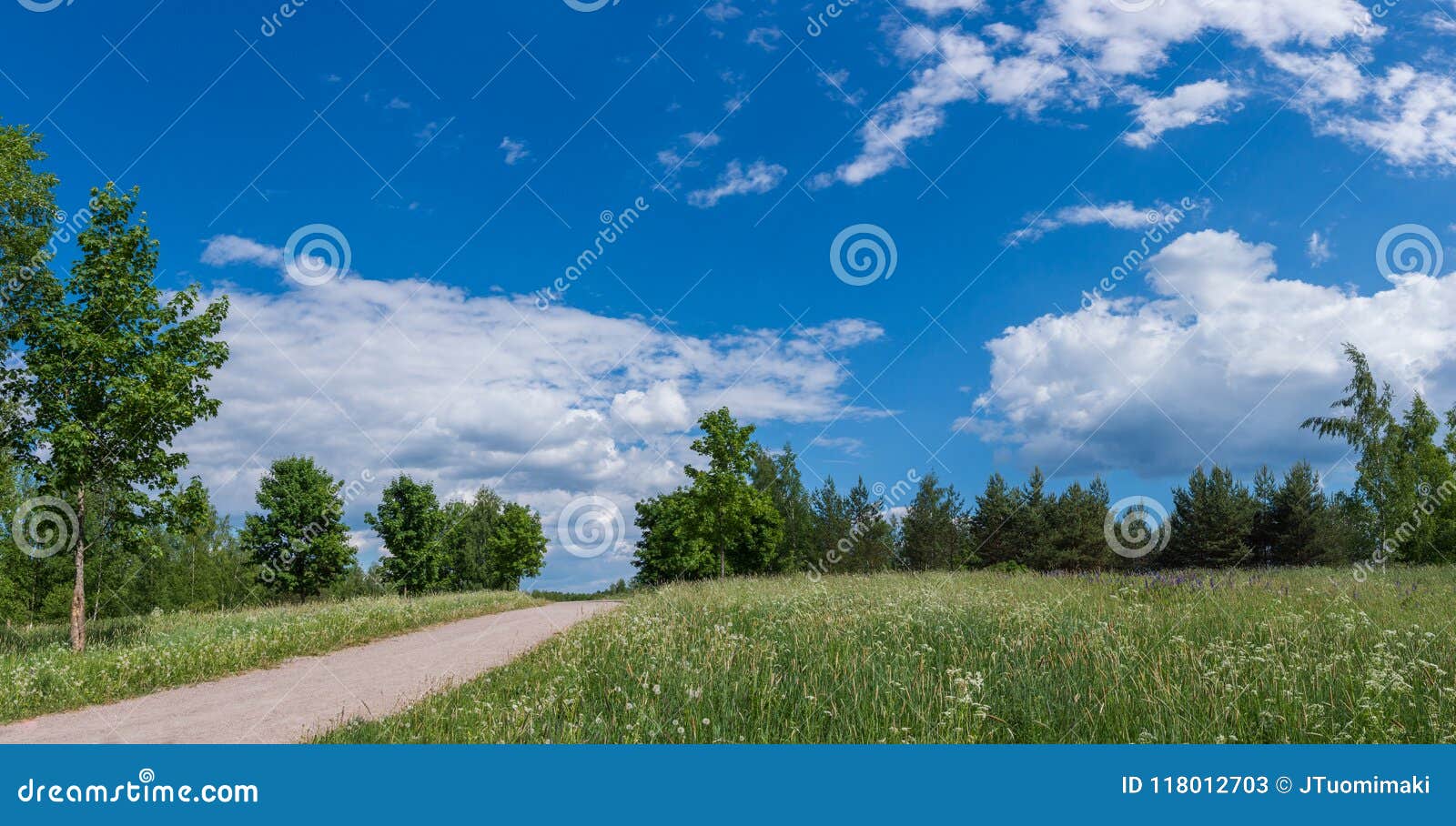 Empty Path Across Summer Meadow Stock Image - Image of wide, landscape ...
