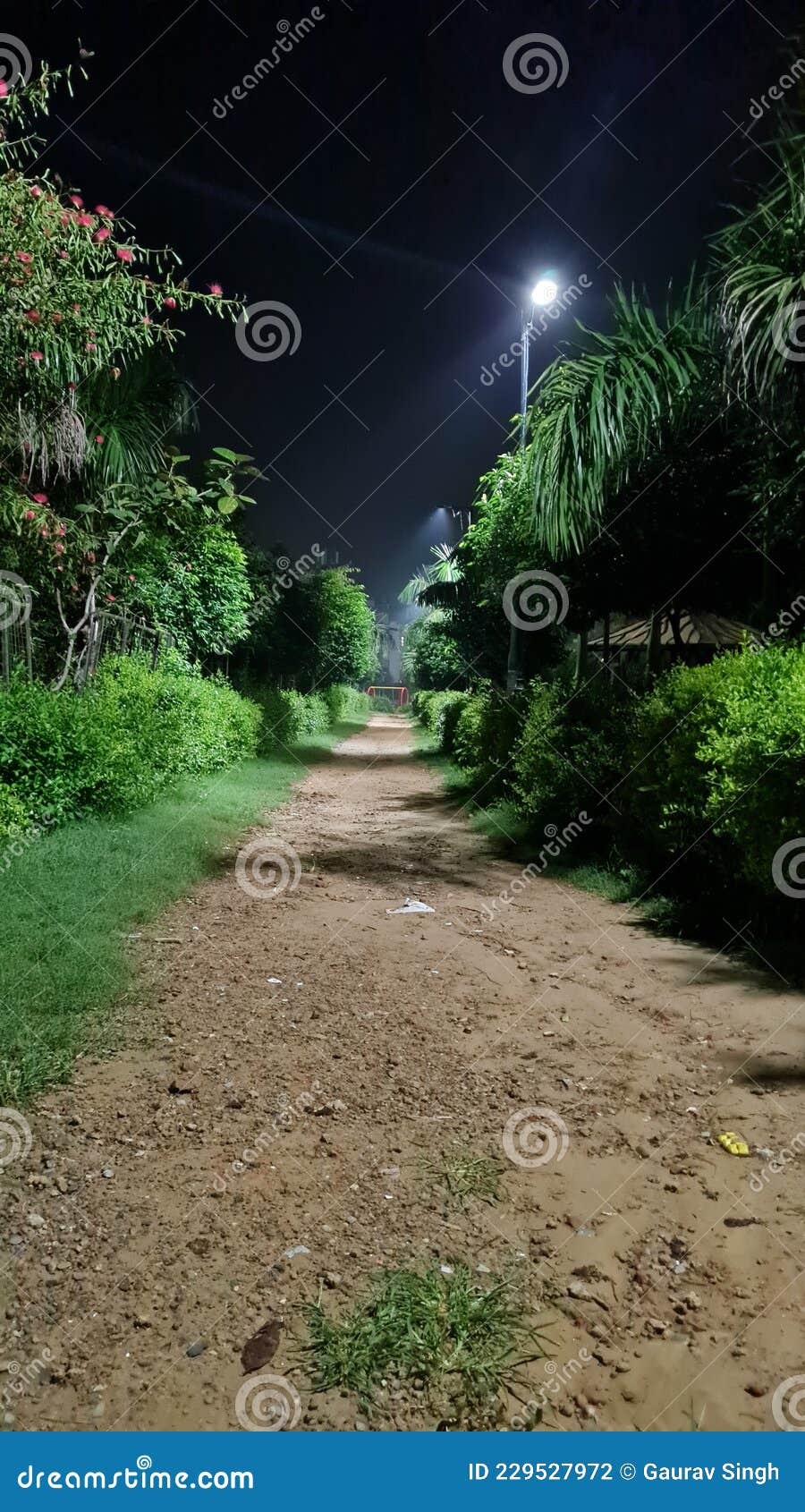 Empty Beautiful Path at Night Time Stock Photo - Image of time, night ...