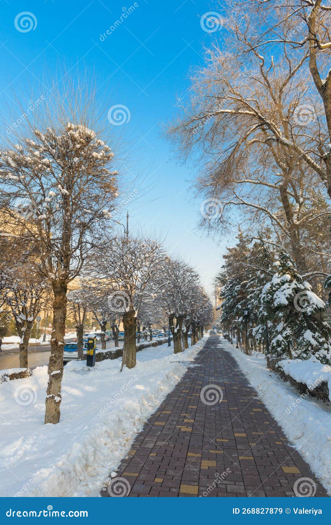 Empty path in the park stock image. Image of road, nature - 268827879
