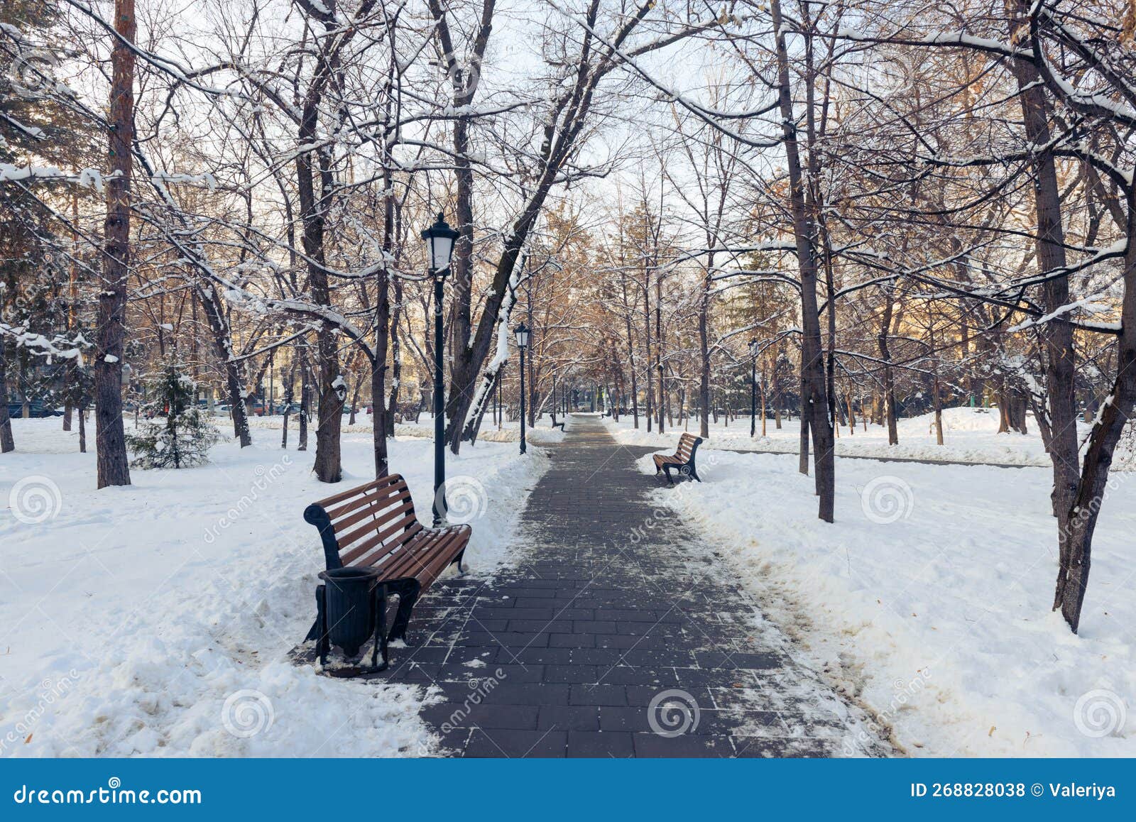 Empty path in the park stock photo. Image of road, cold - 268828038