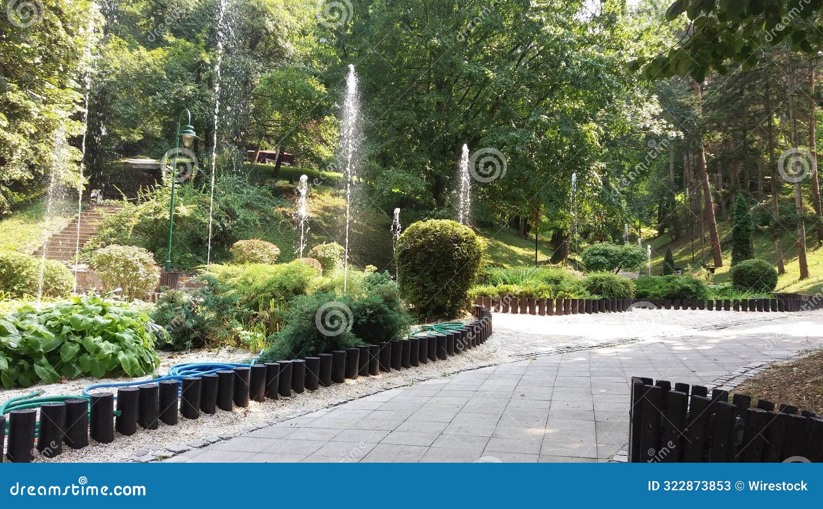 Empty Pathway Lined with Plants in the Park Areas Stock Image - Image ...