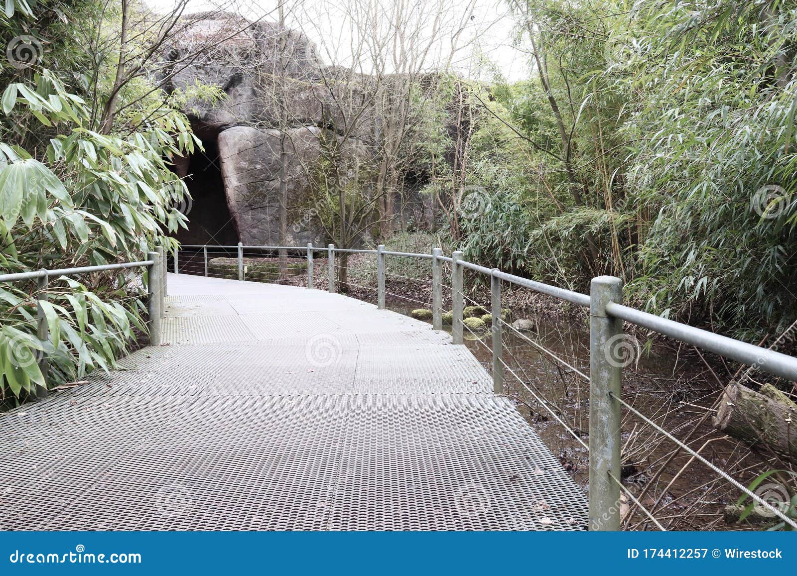 Empty Pathway in the Middle of Green Trees Stock Image - Image of ...