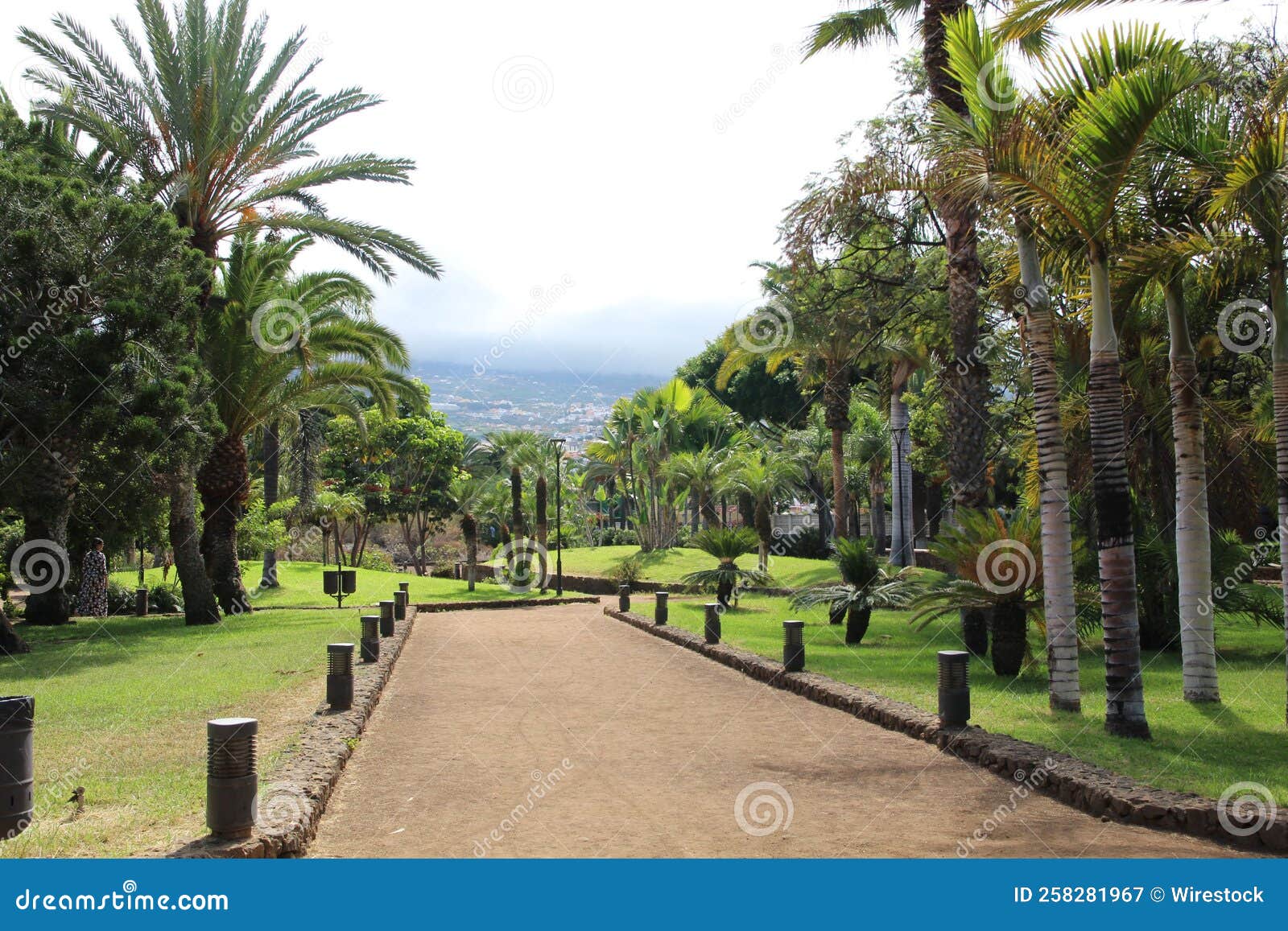 Empty pathway in a park stock image. Image of view, countryside - 258281967