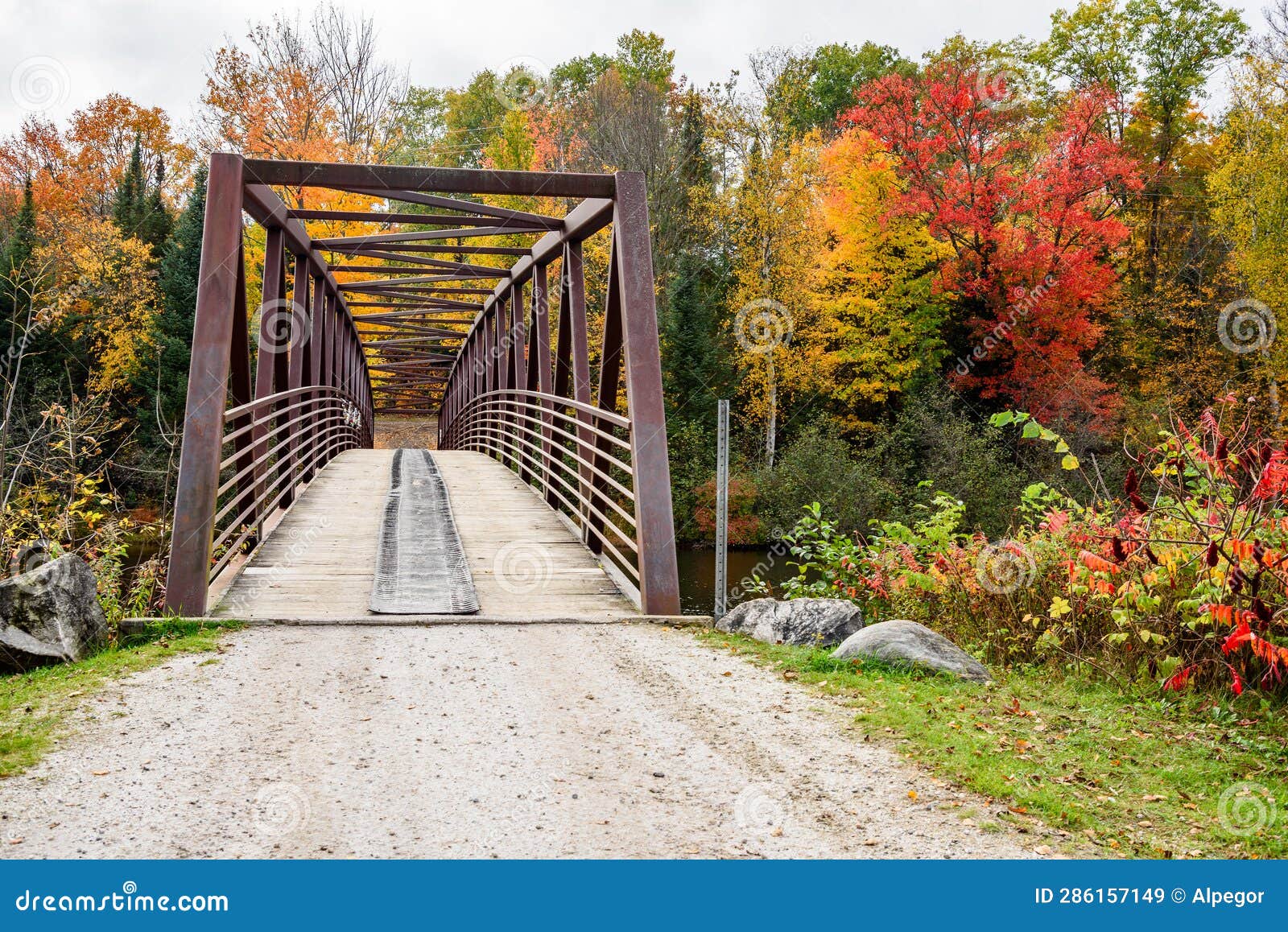 Empty Steel Bridge Over a River in a Forested Park in Autumn Stock ...
