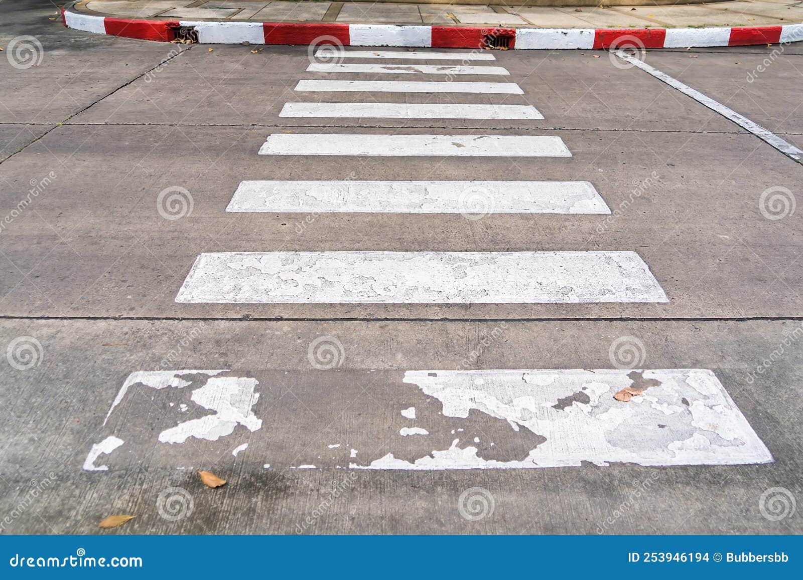 Empty Pedestrian Crossing, Crosswalk on the Road Stock Photo - Image of ...