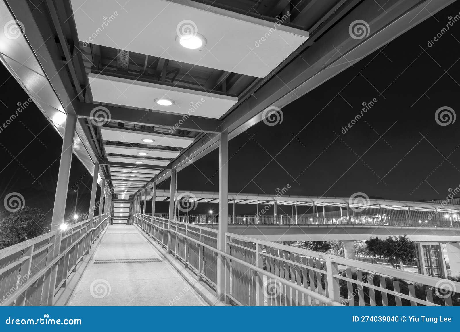 Empty Pedestrian Walkway at Night in Monochrome Stock Photo - Image of ...