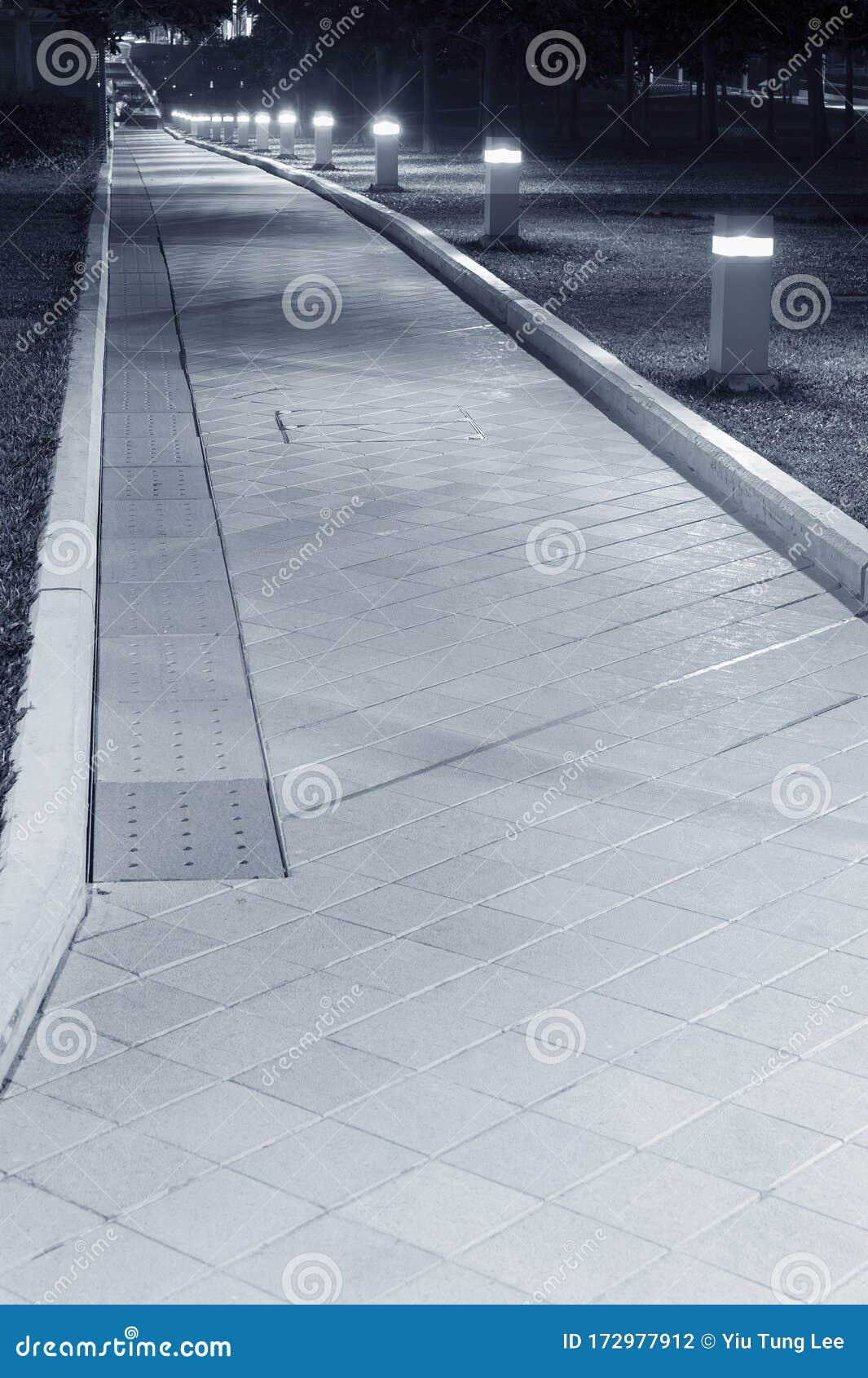 Pathway in park at night stock photo. Image of land - 172977912