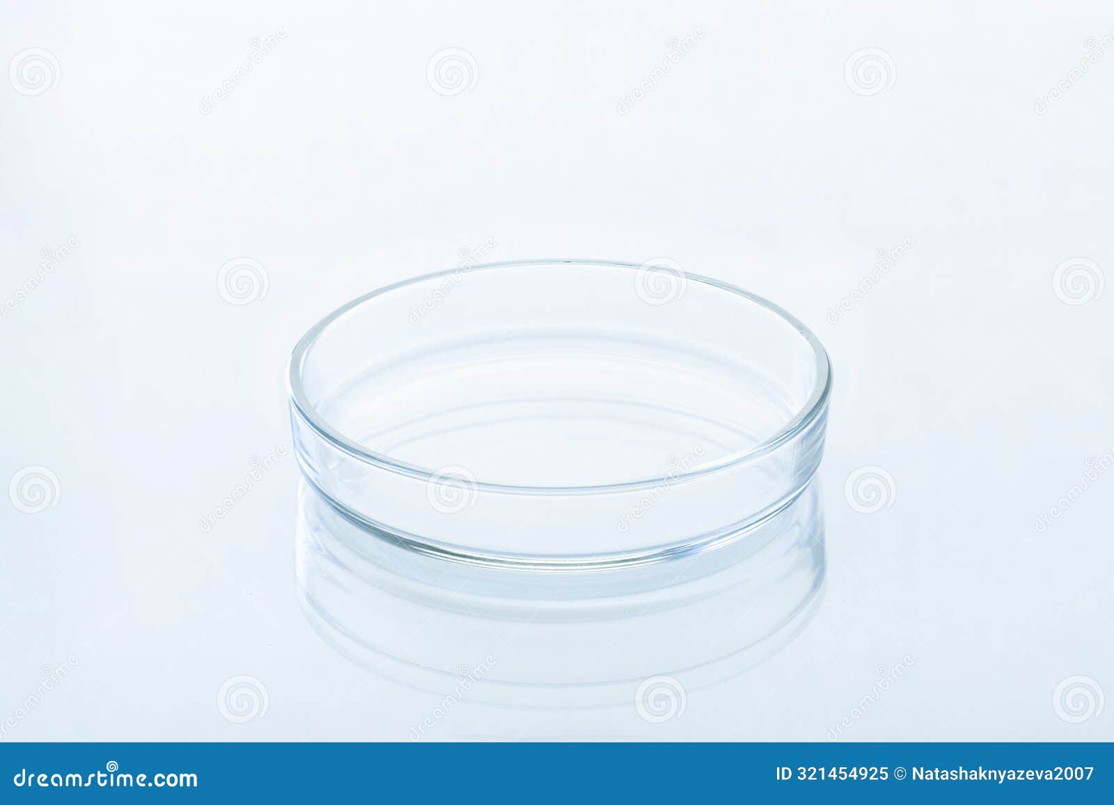 Empty Petri Dish on a Glossy White Surface, Close-up, Selective Focus ...