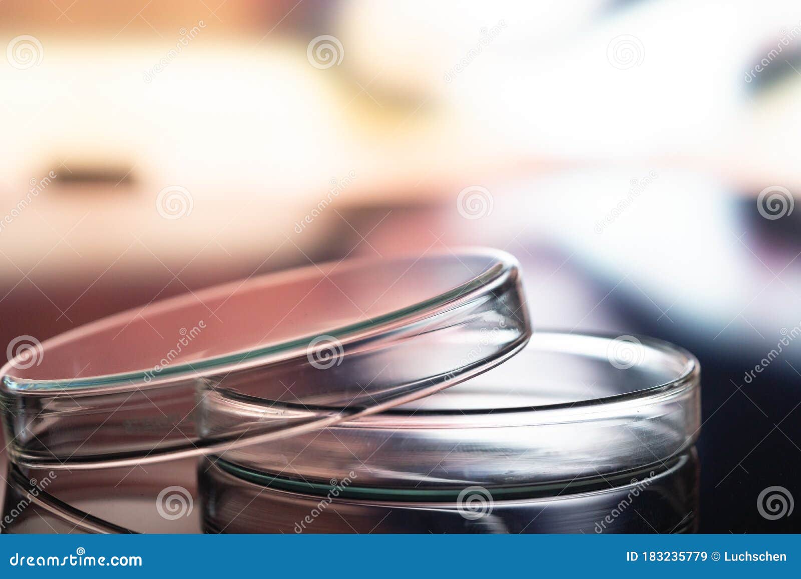 Empty petri dish with lid stock image. Image of laboratory - 183235779