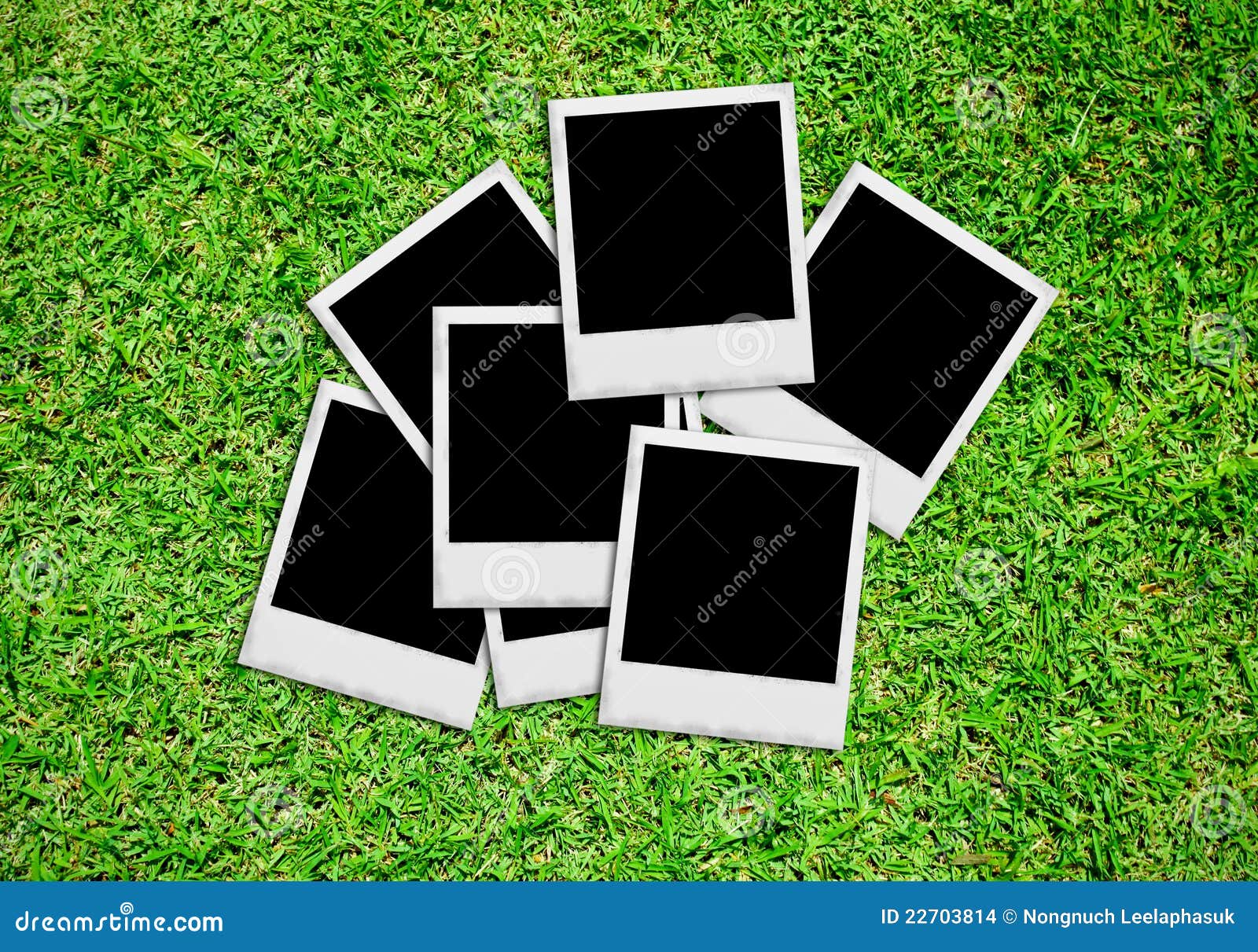 Empty Photos on Green Grass Stock Photo - Image of paper, landscape ...