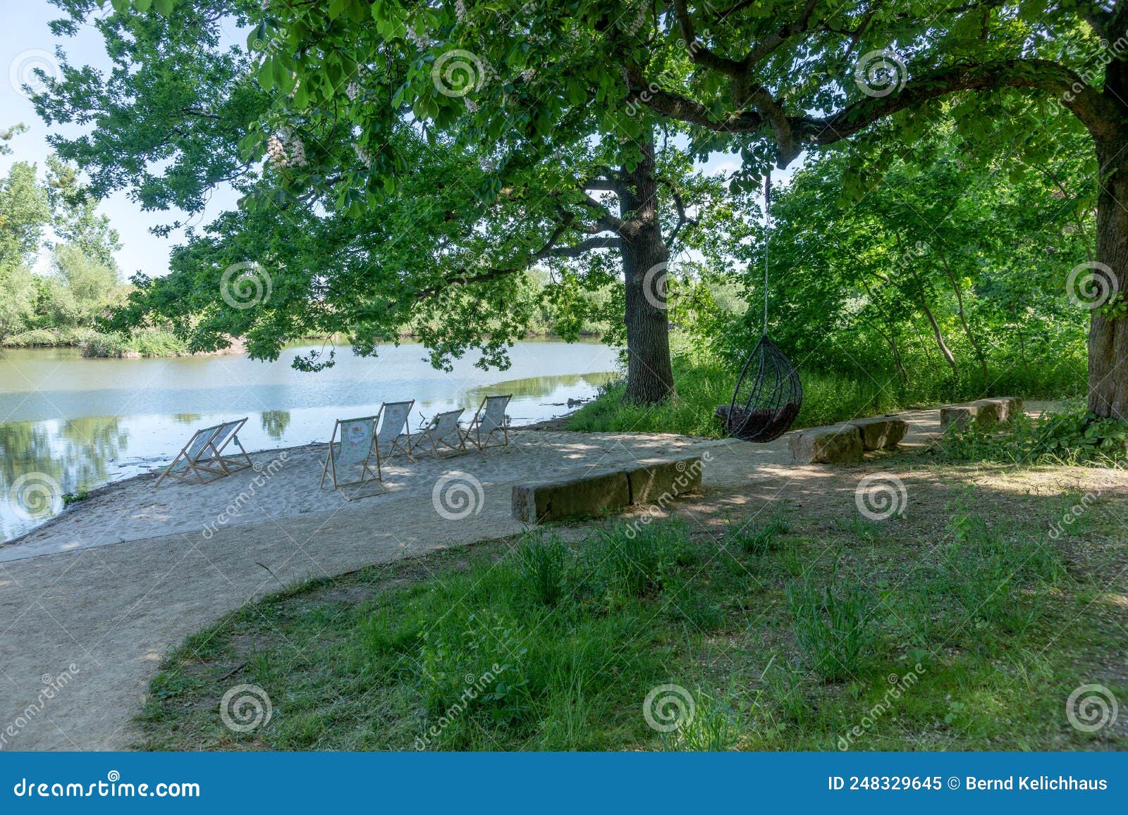 Empty Picnic Area Under Trees by the Lake Stock Image - Image of change ...