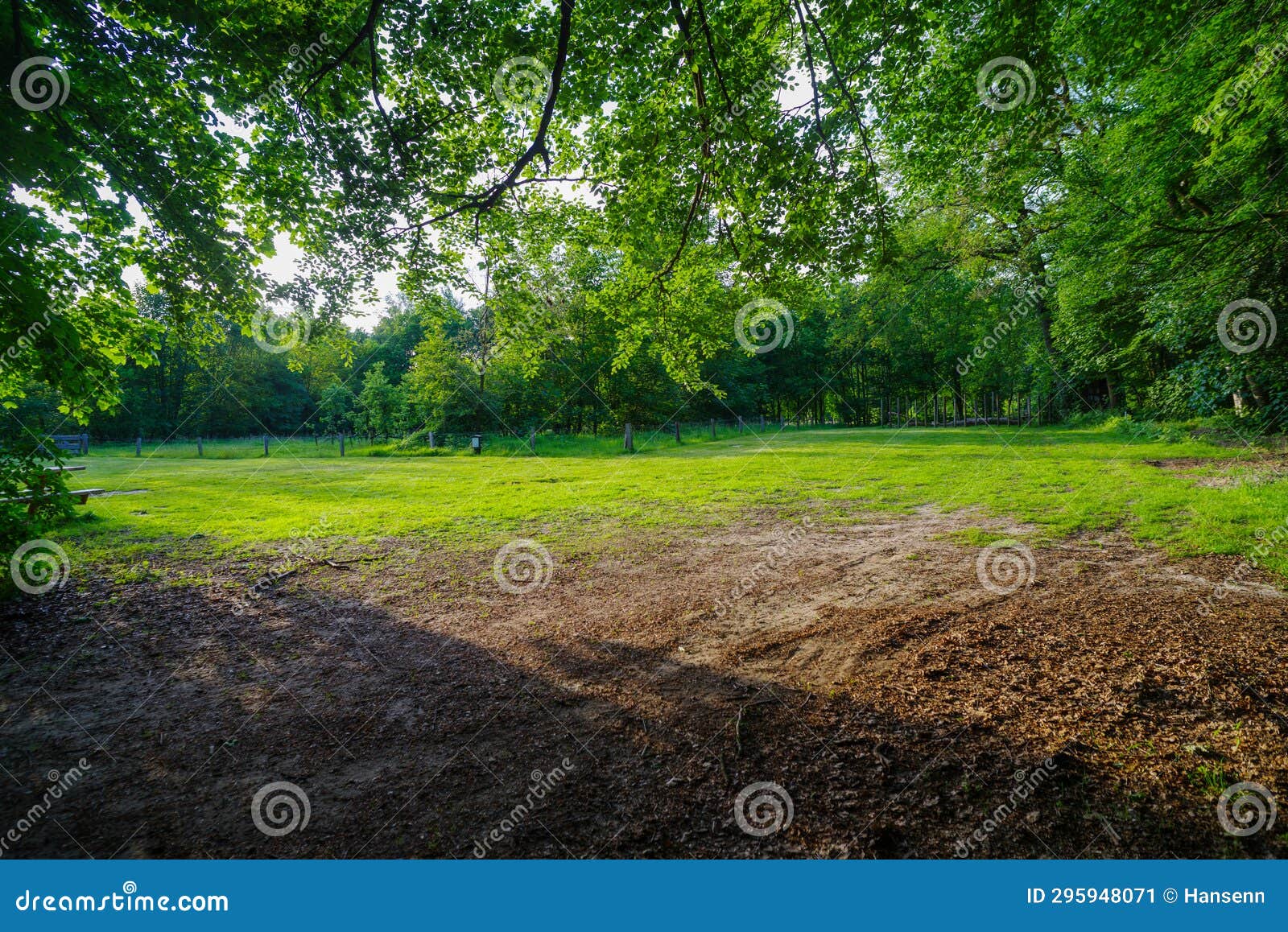 Empty picnic place stock image. Image of people, spring - 295948071