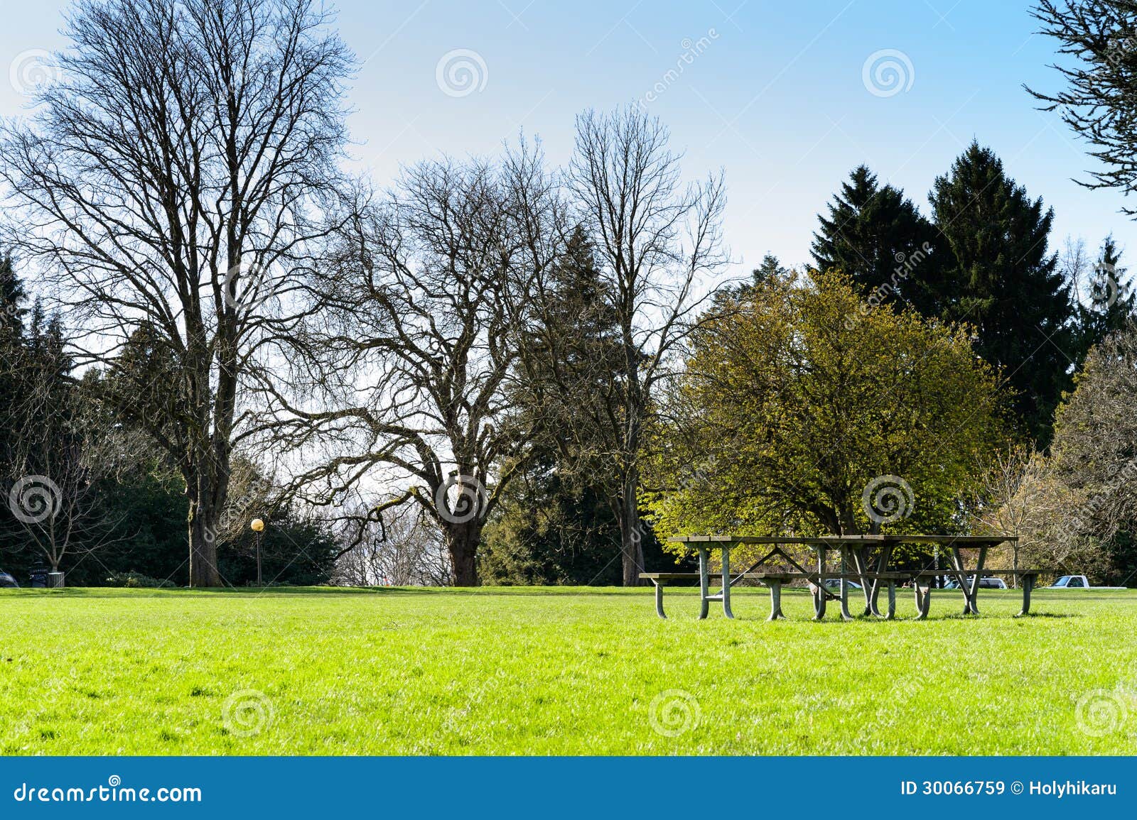 Empty Picnic Table in a Park Stock Image - Image of grass, picnic: 30066759