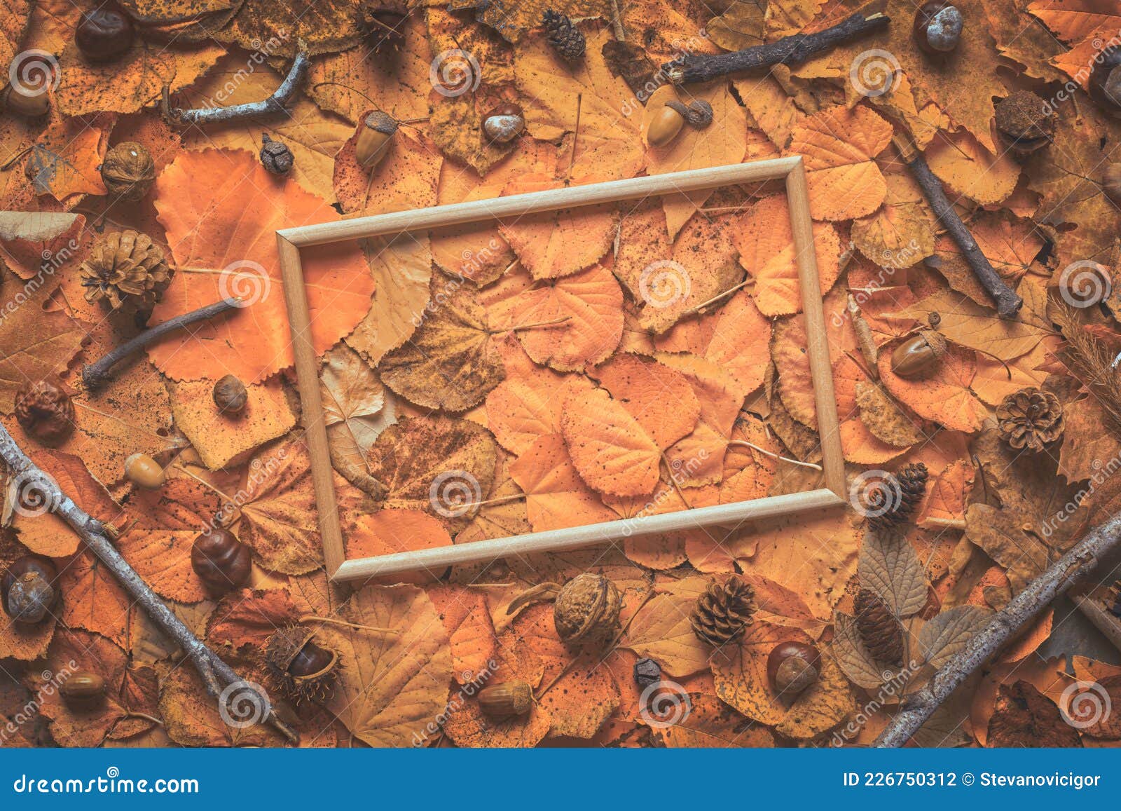 Creative Autumn Pattern Concept Of Fresh Pink Roses. Flowers On Pastel ...