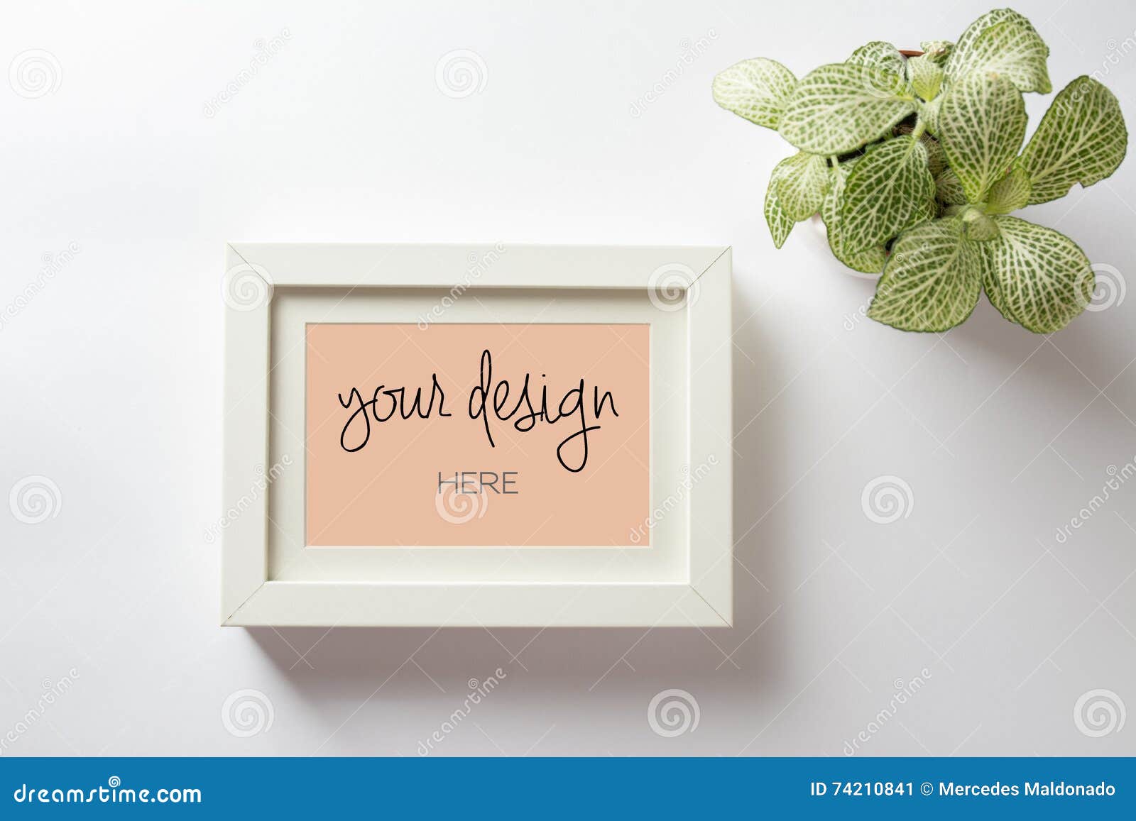 Empty Picture Frame, Decorated with Green Plant Stock Image - Image of ...