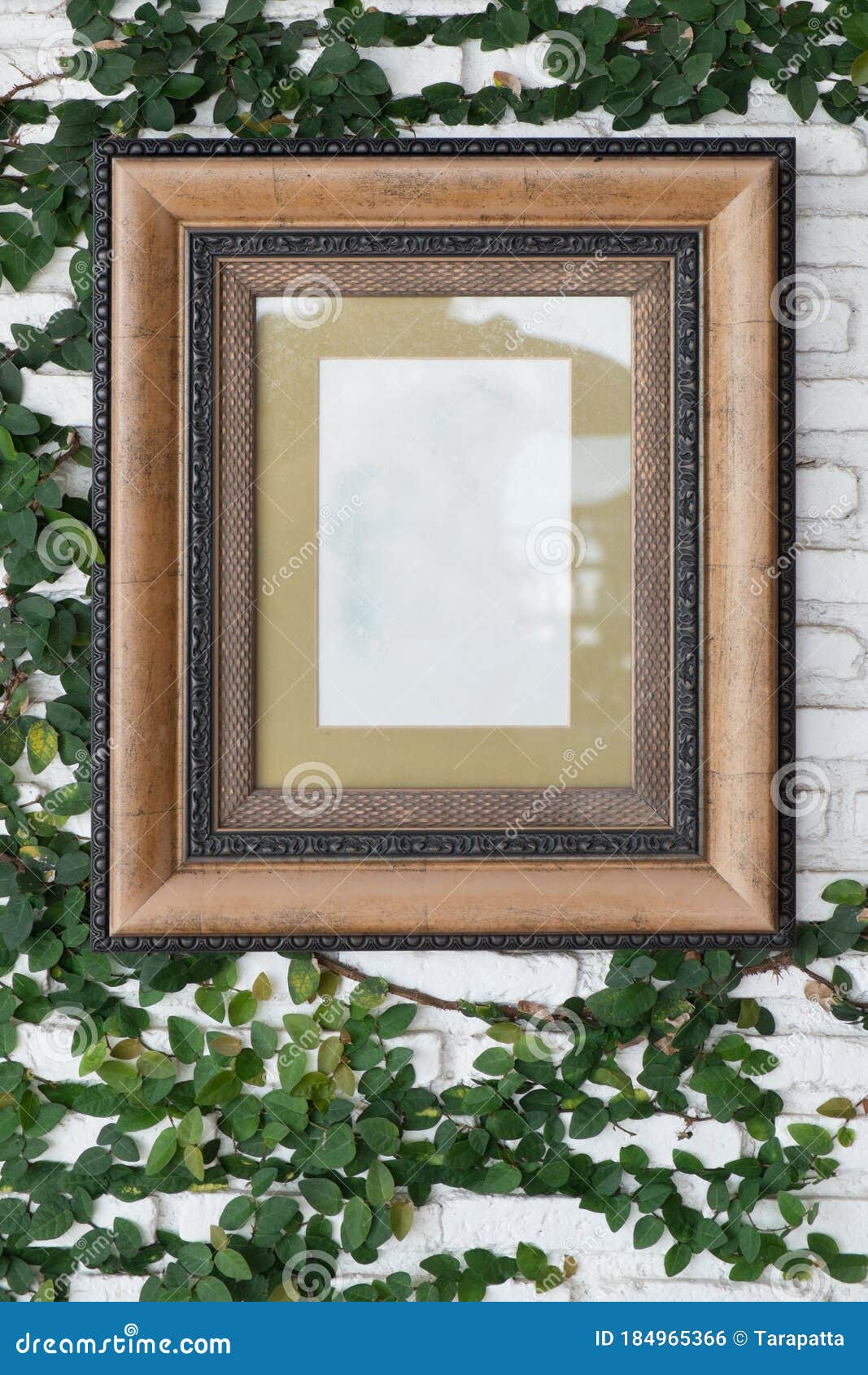 Empty Picture Frame with Glass on the Wall Stock Photo - Image of frame ...
