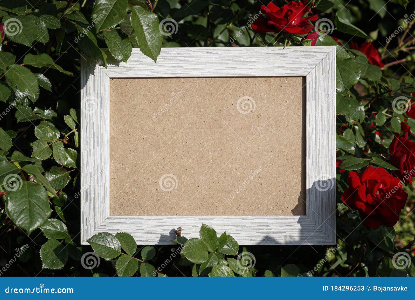 Empty Picture Frame in Natural Environment with Roses Stock Image ...