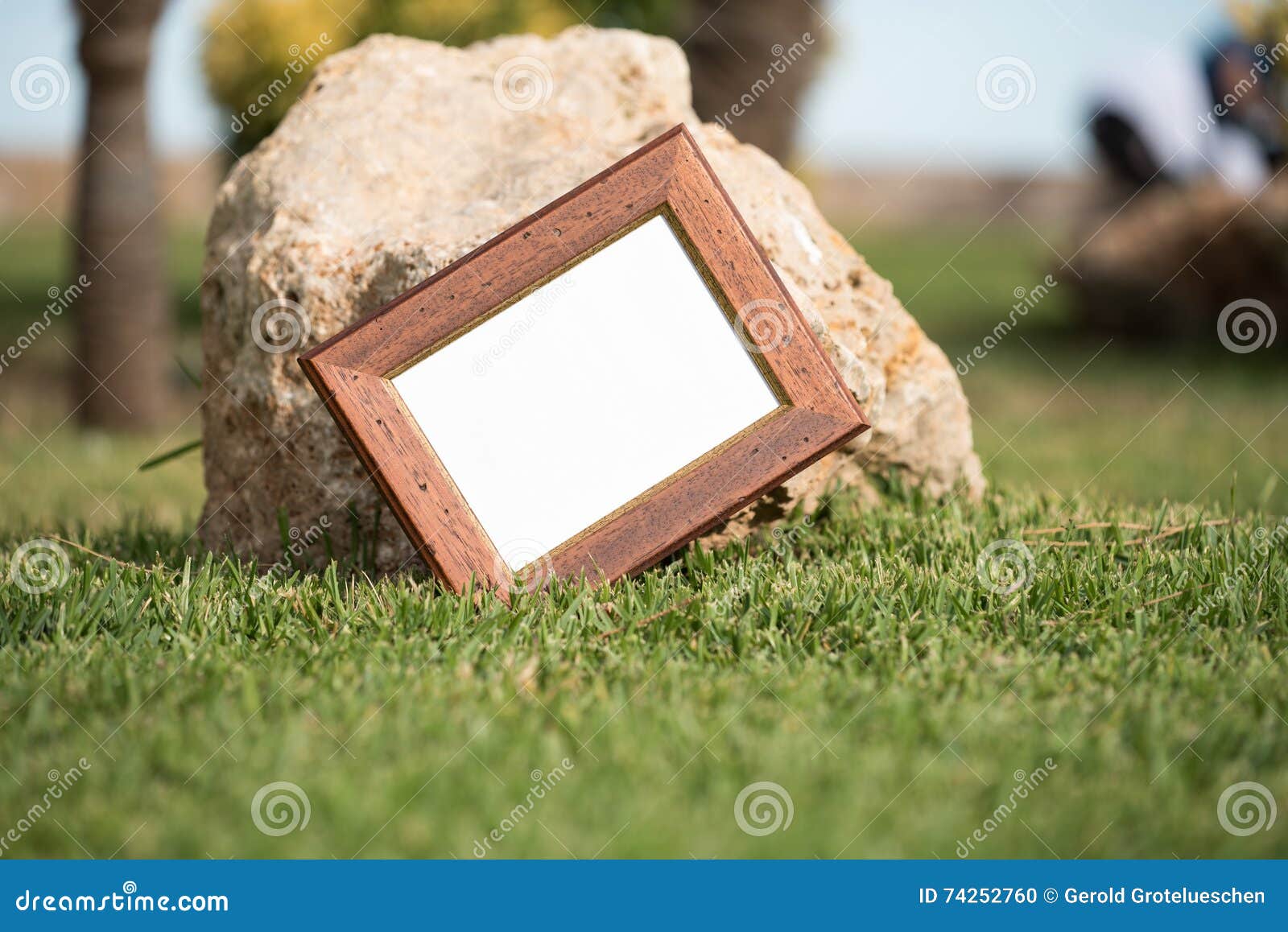Empty Picture for Inscriptions on the Background of Grass and S Stock ...