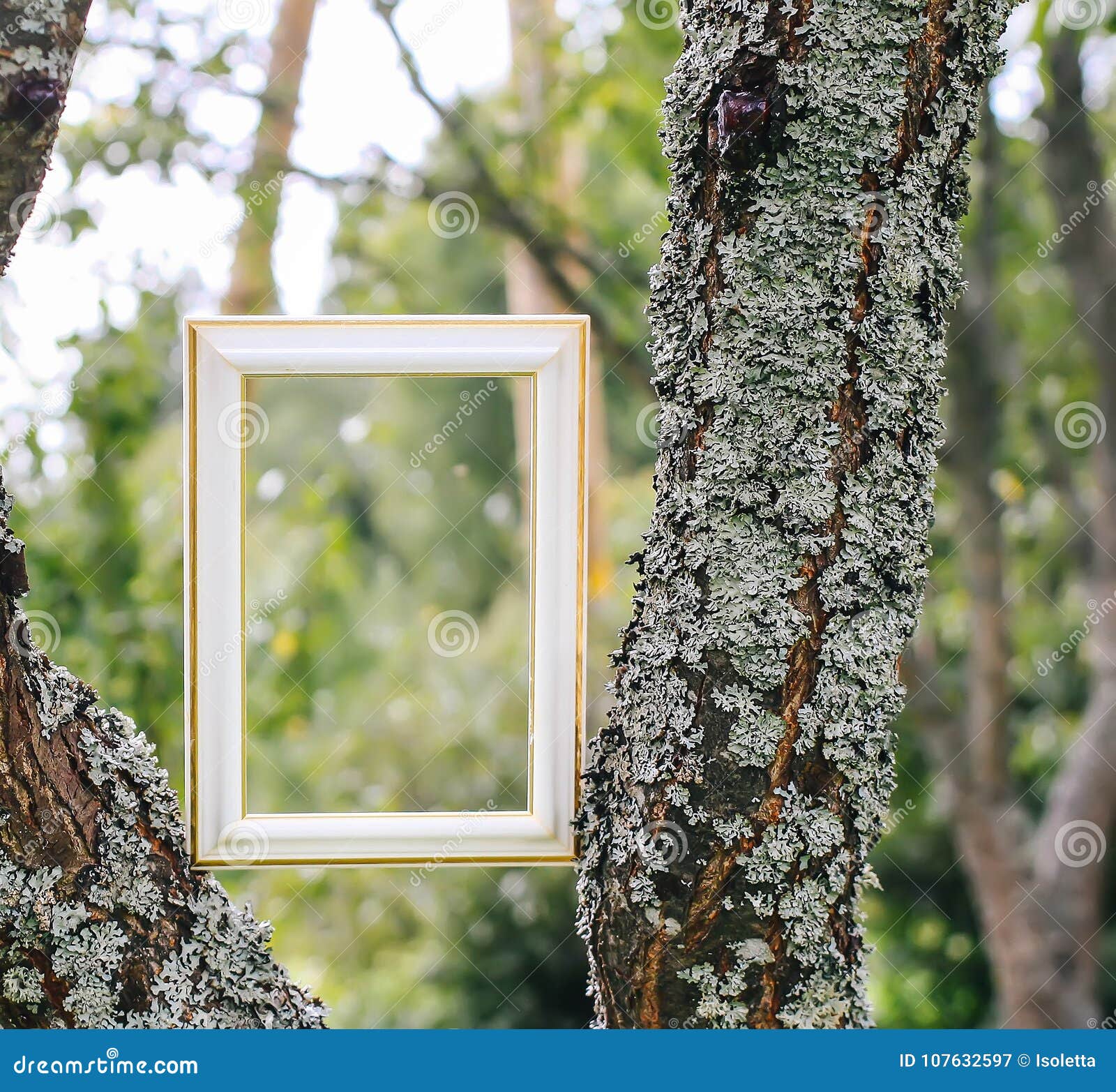 Empty picture or frame. stock image. Image of border - 107632597