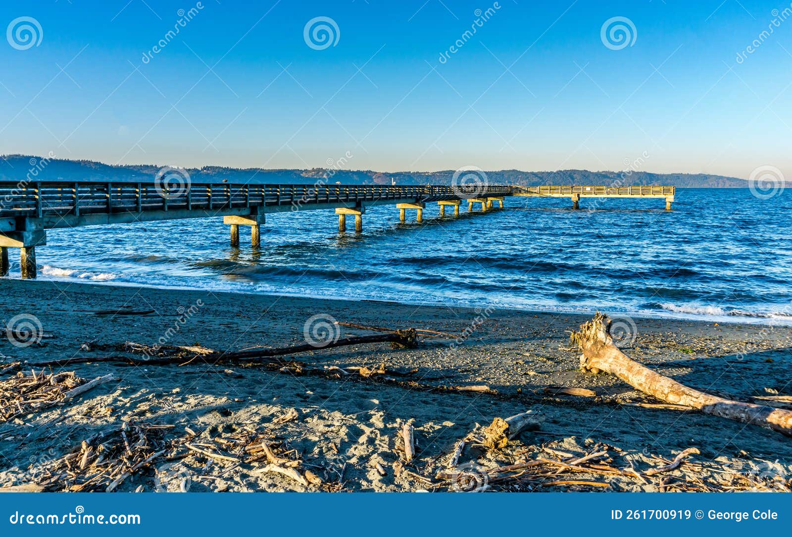 Empty Pier at Dash Point stock image. Image of point - 261700919